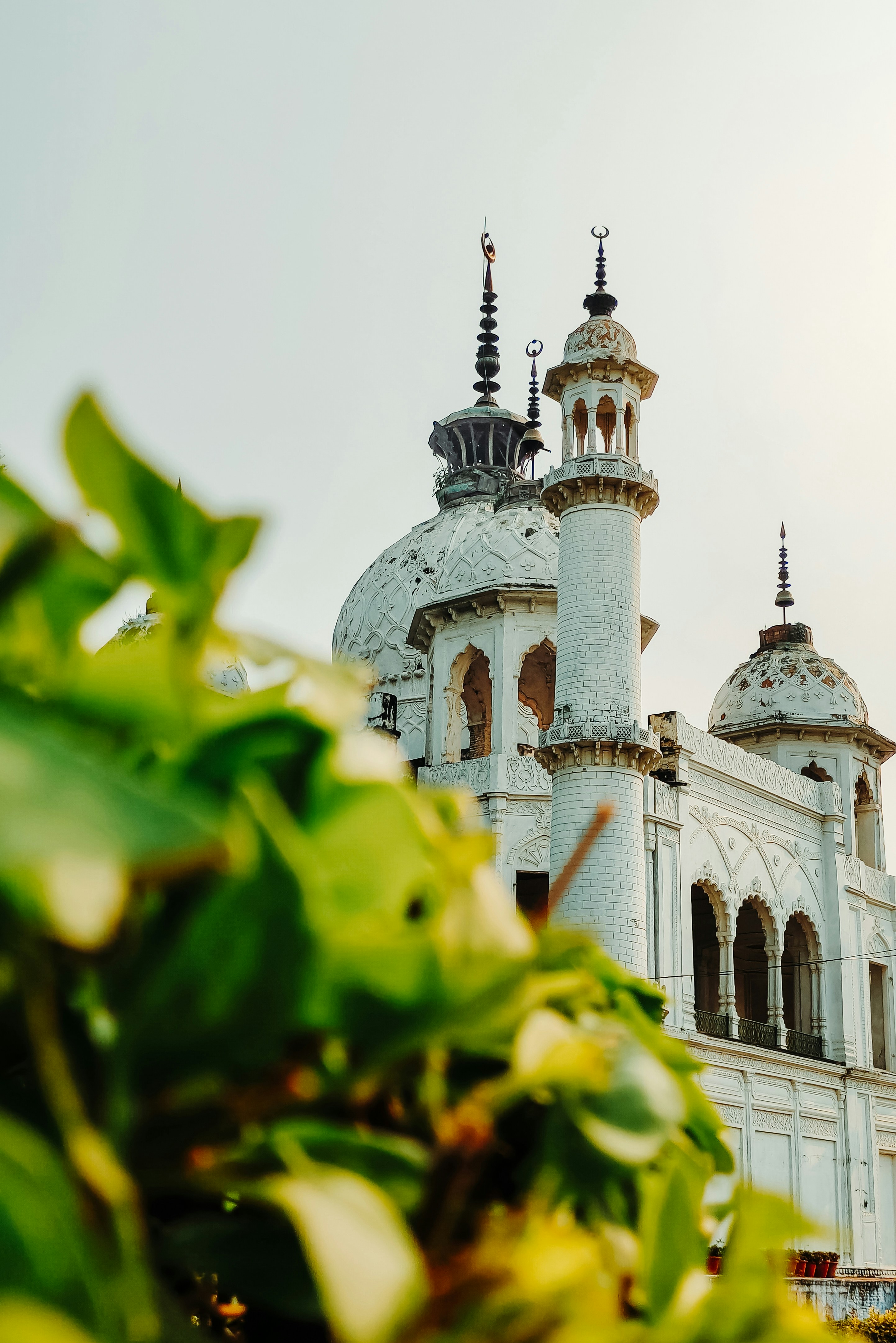 Marble Minarets Rising Behind Emerald Foliage