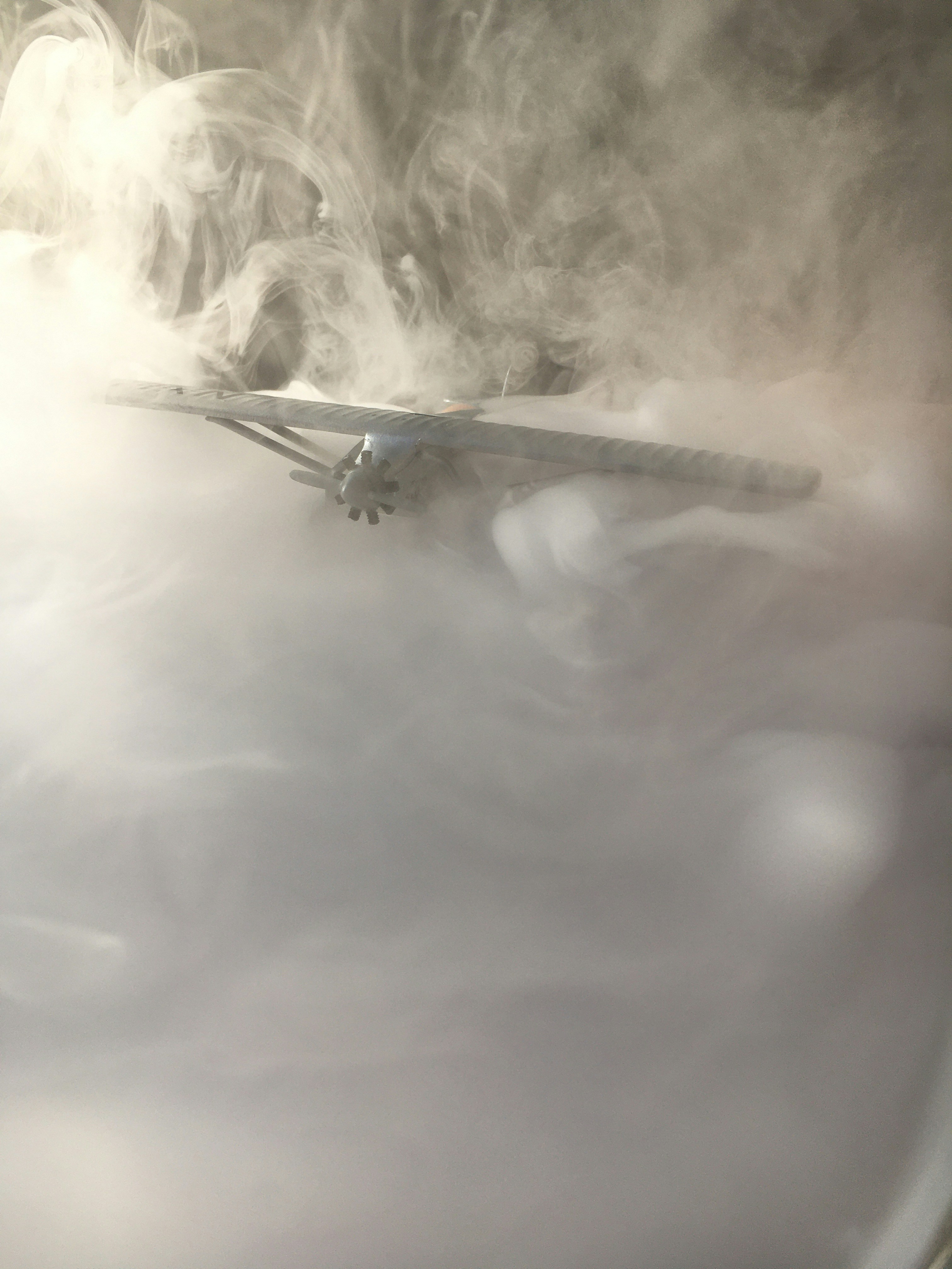 Wing in the Vapor: A Tiny Scale of Flight