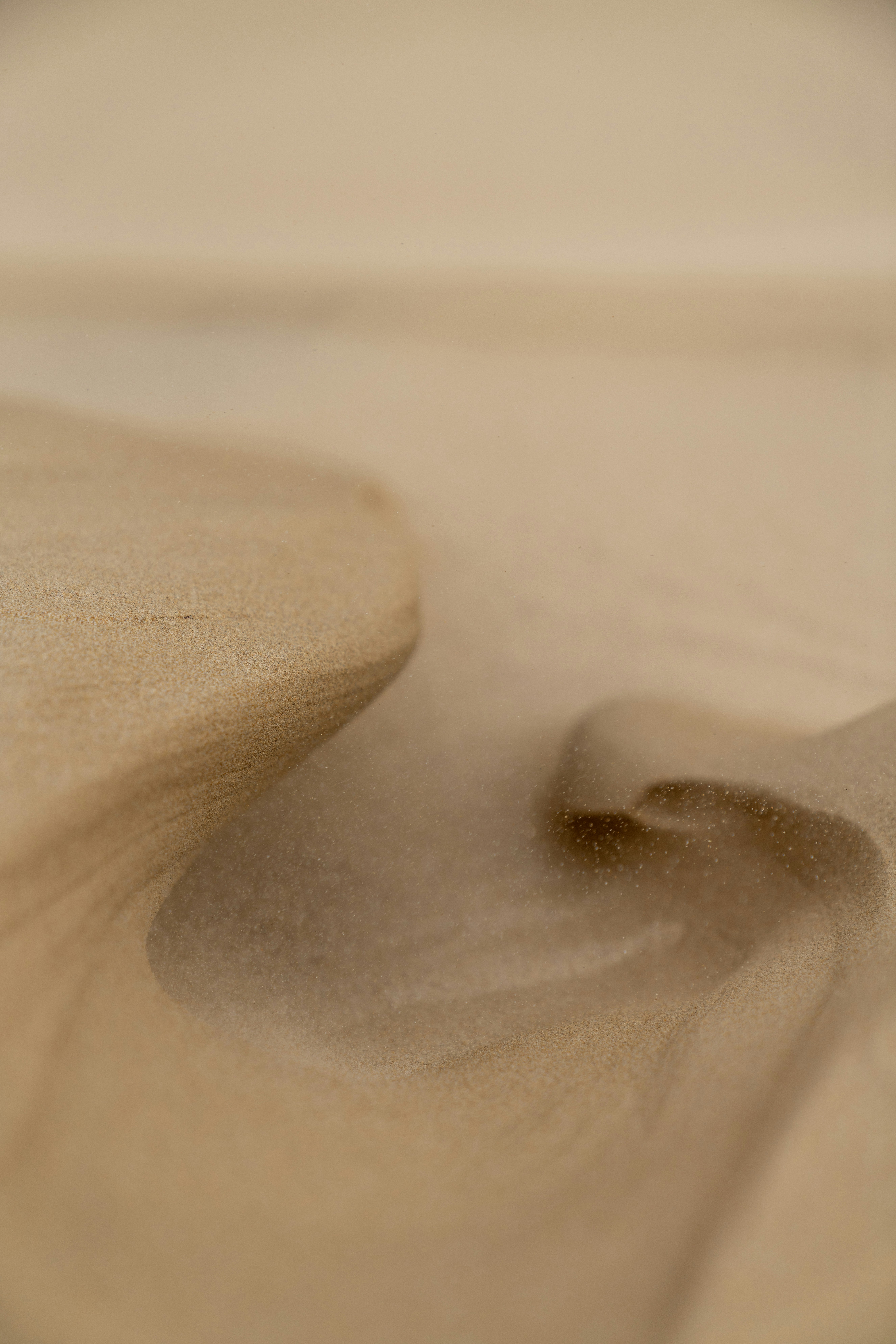 a close up of a sand dune with a blurry background