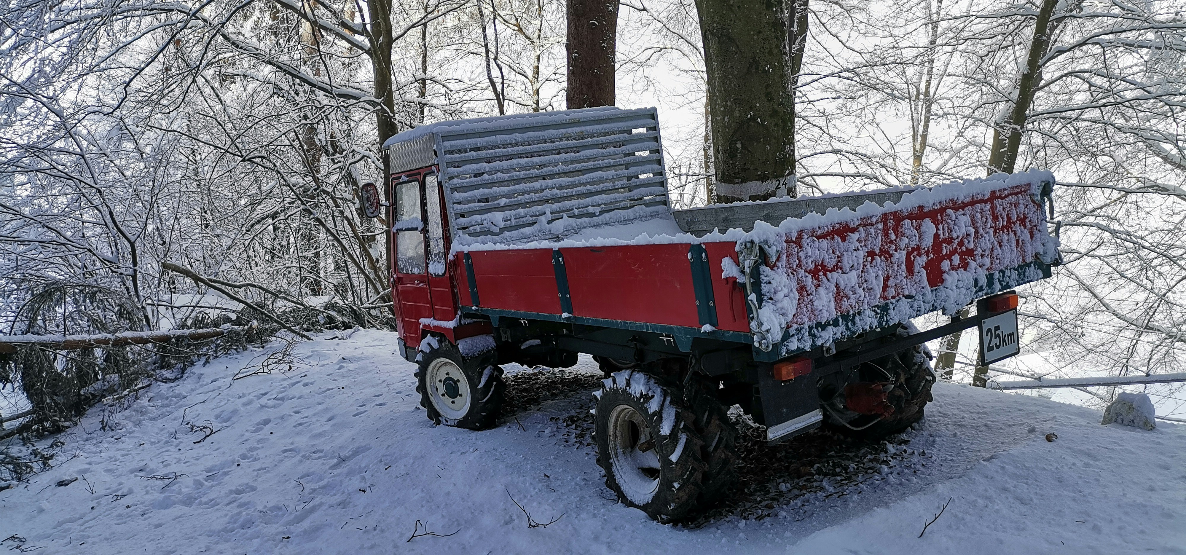A red pickup-style truck sits on a snow-covered slope beside a guardrail, photographed in a wintry landscape with bare trees.