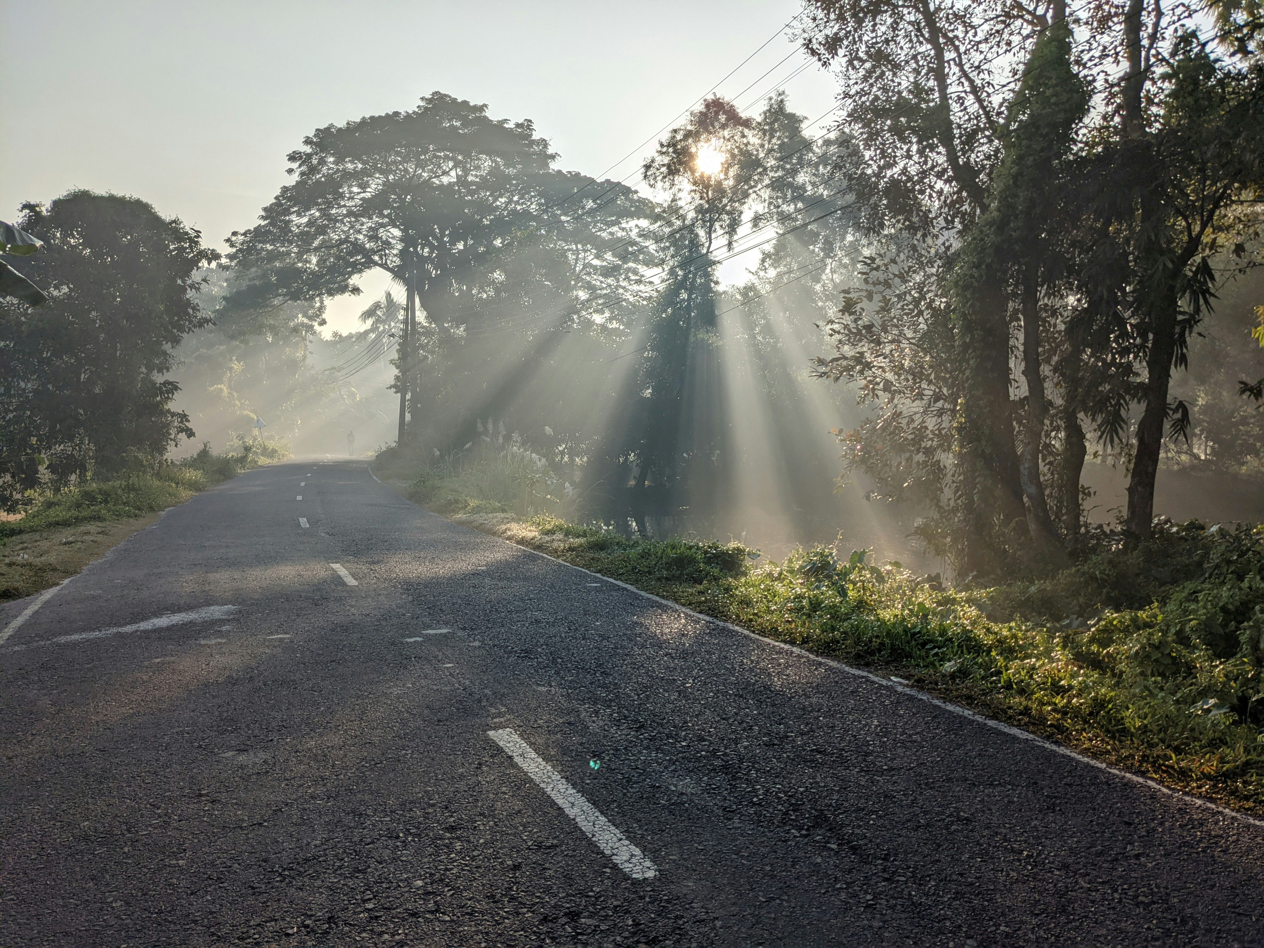Morning sunbeams over a quiet rural road