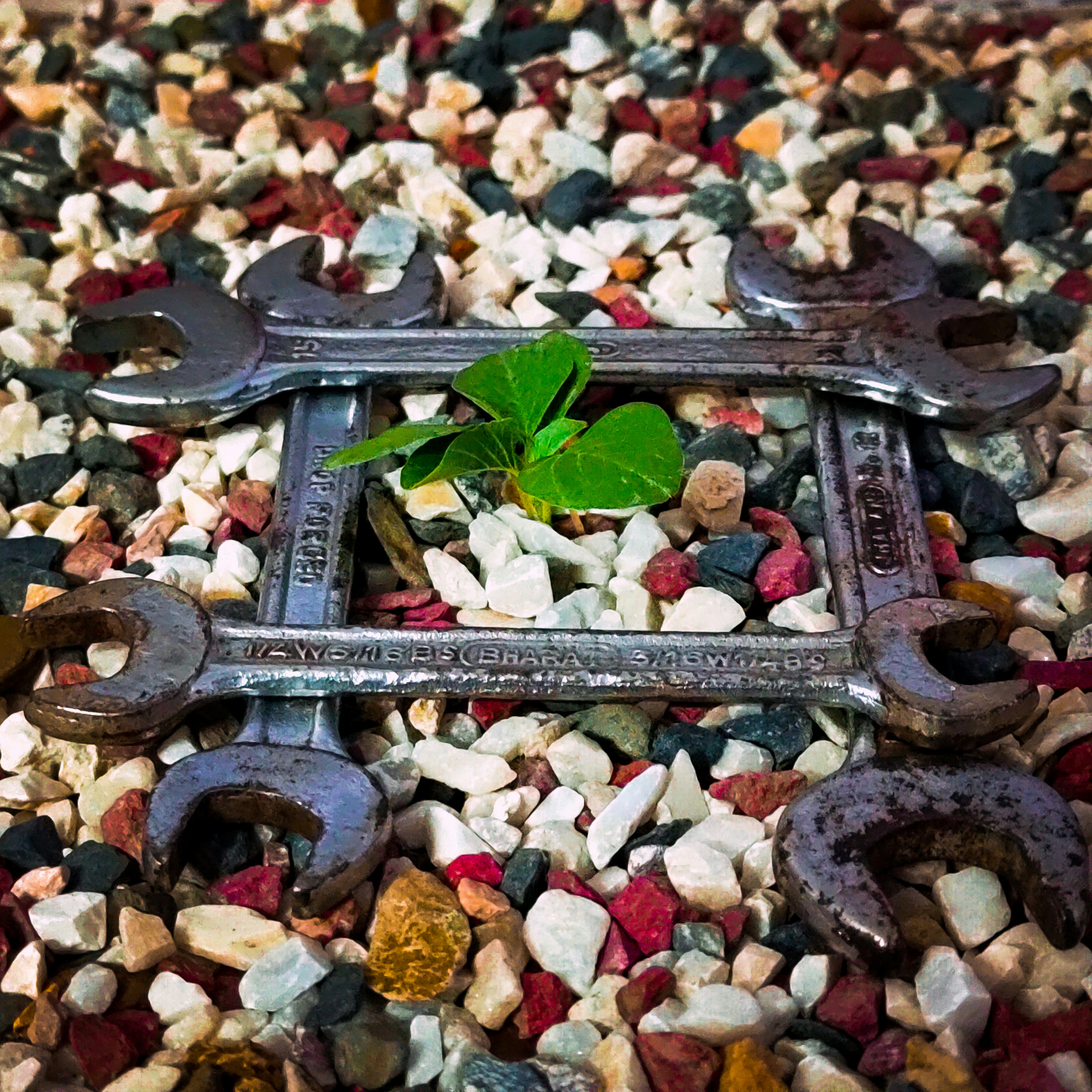 A small green sprout grows at the center among a frame of rusted wrenches resting on multicolored gravel.