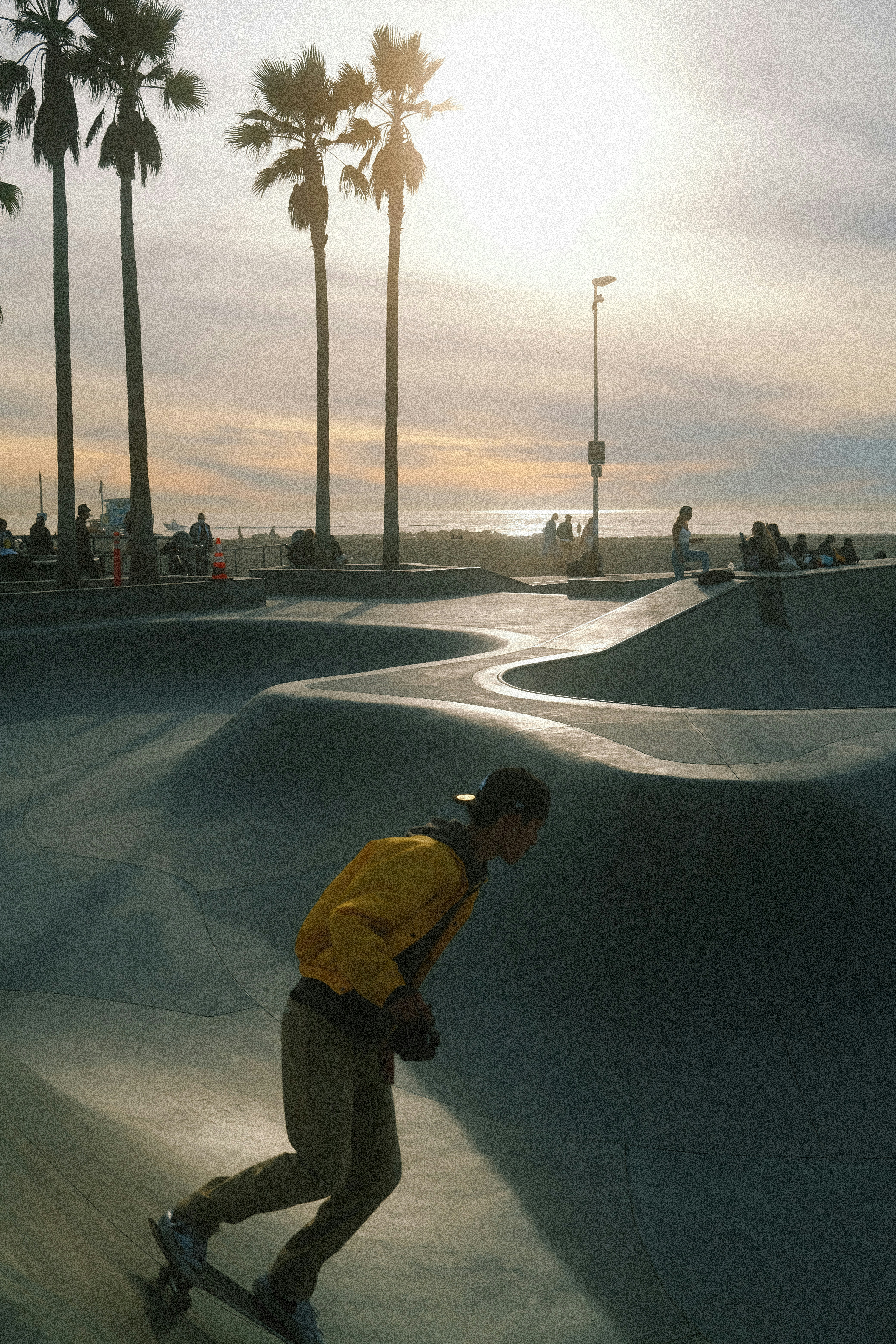Skateboarder carving through a skatepark as the sun sets behind palm trees, casting a warm glow over the scene.