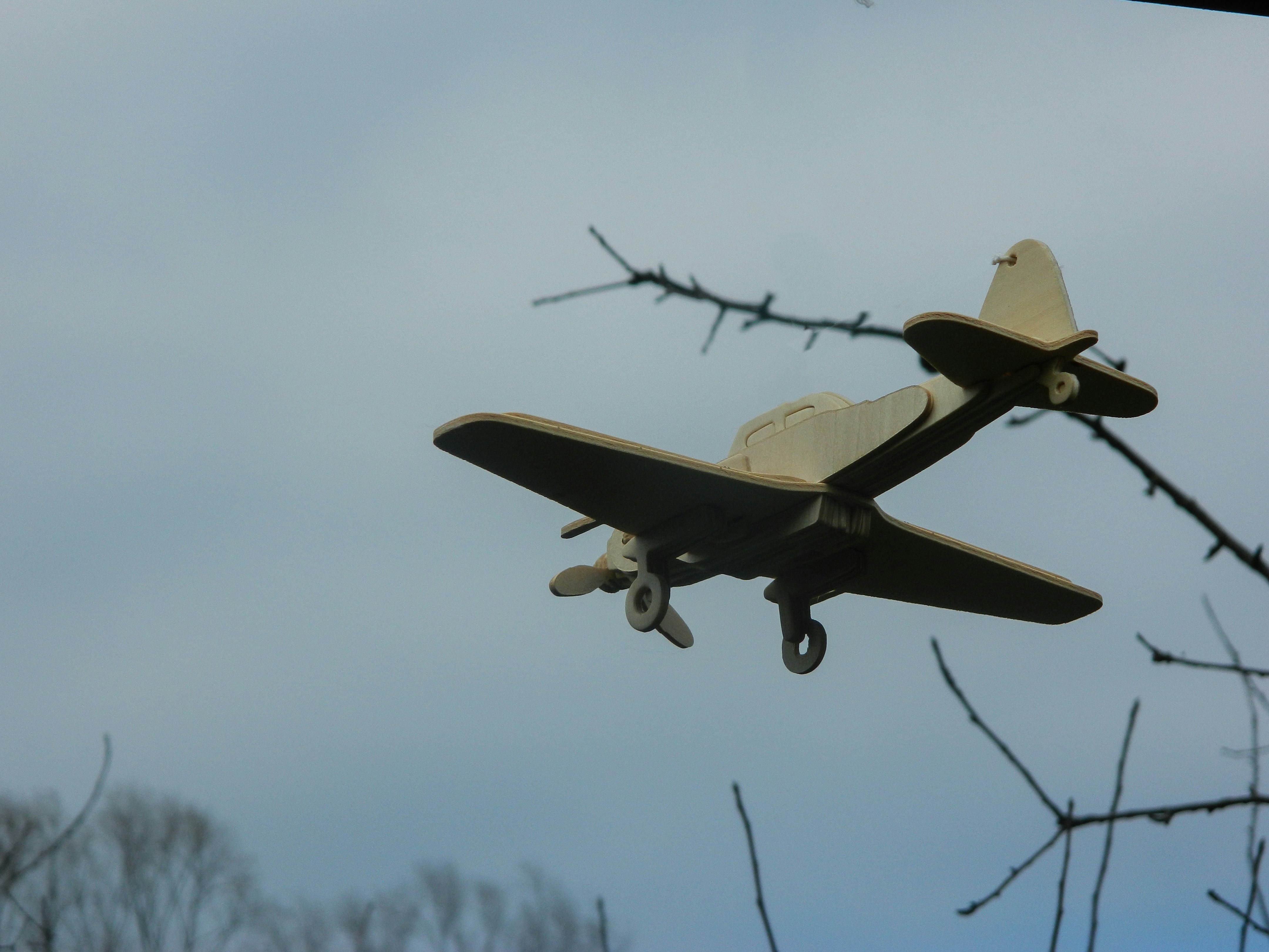 Wooden model airplane suspended among bare branches against a cloudy sky.