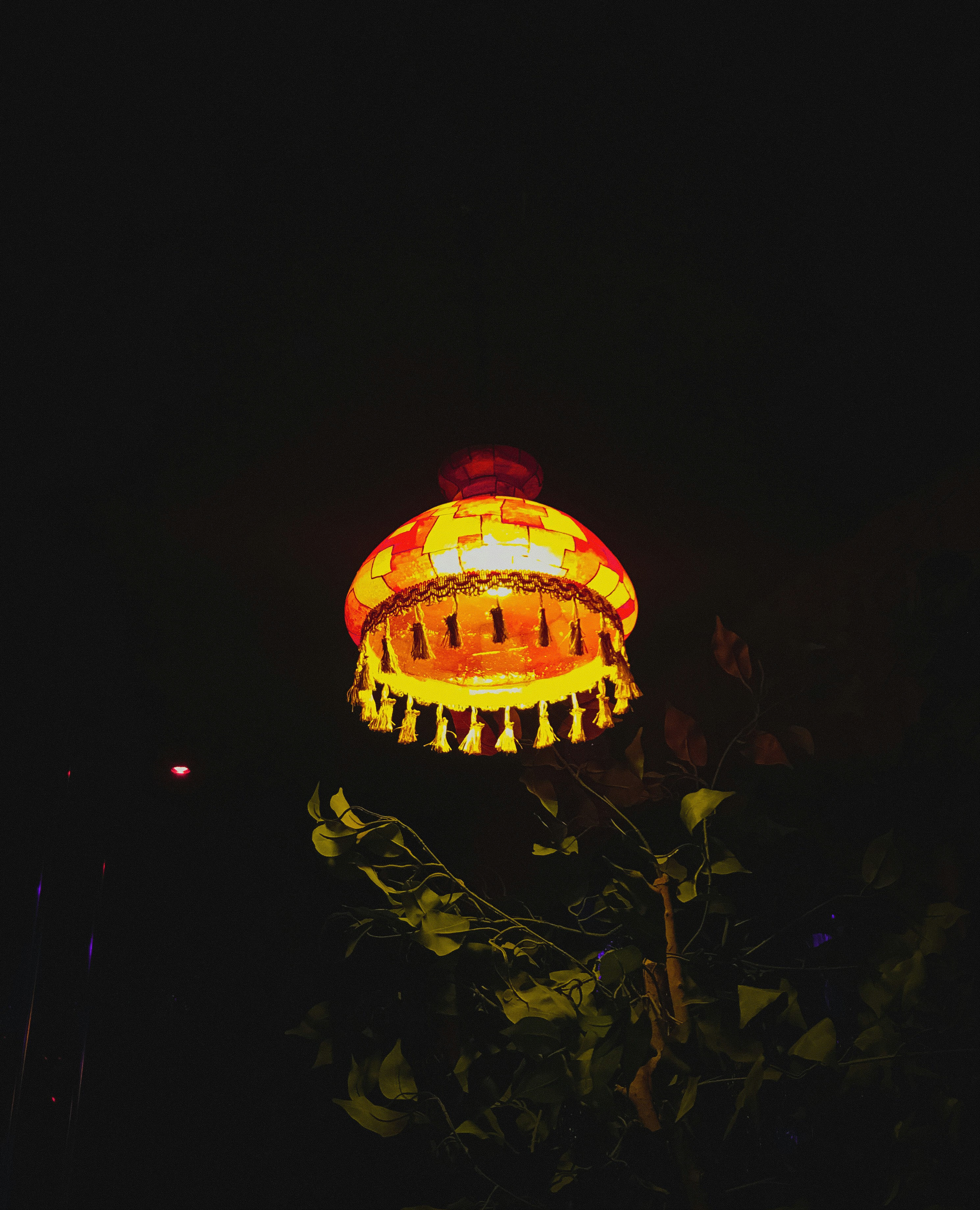 A vibrant vintage chandelier hangs from the ceiling, casting warm light in a dimly lit space, surrounded by greenery.