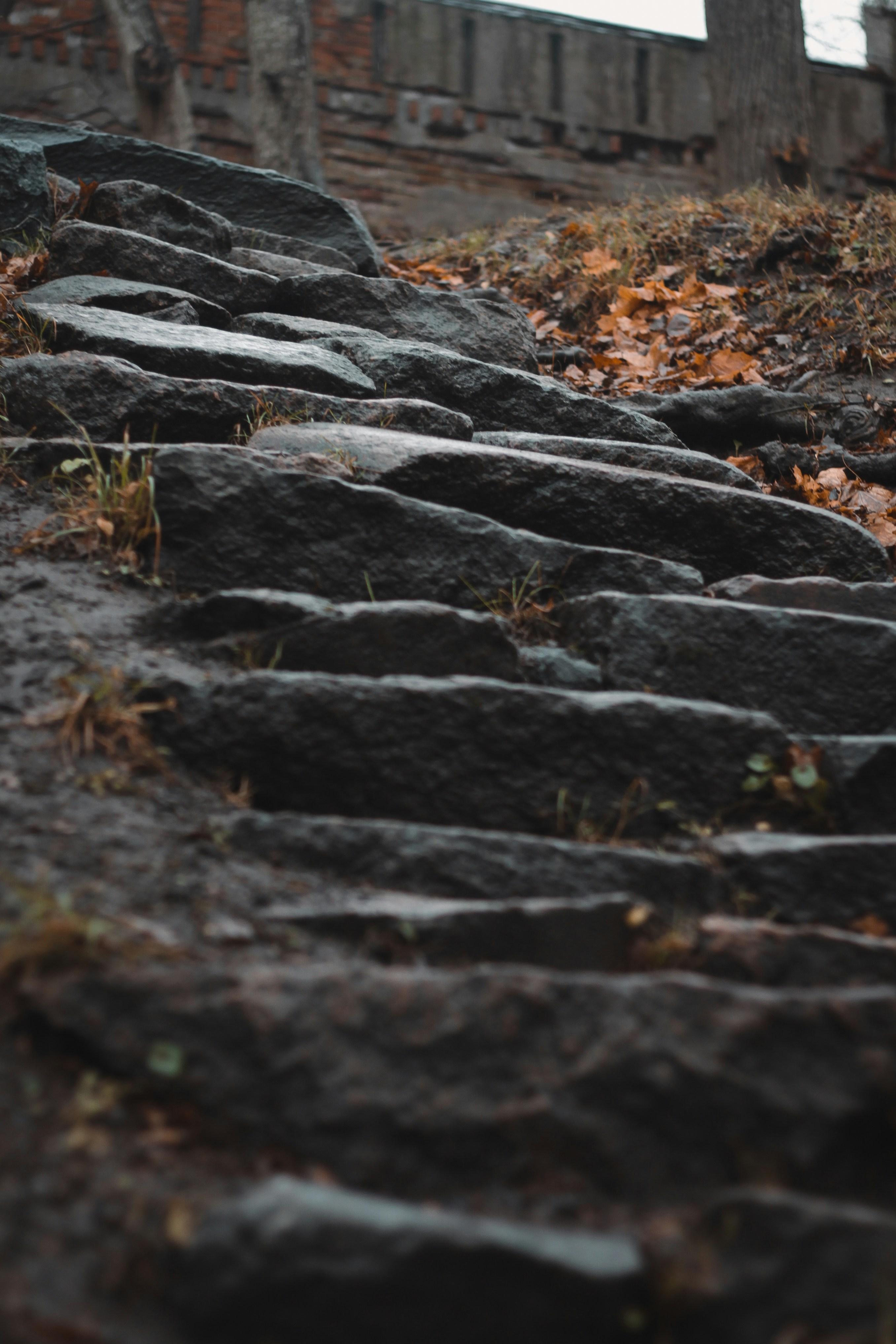Rocky Stairs Wallpaper