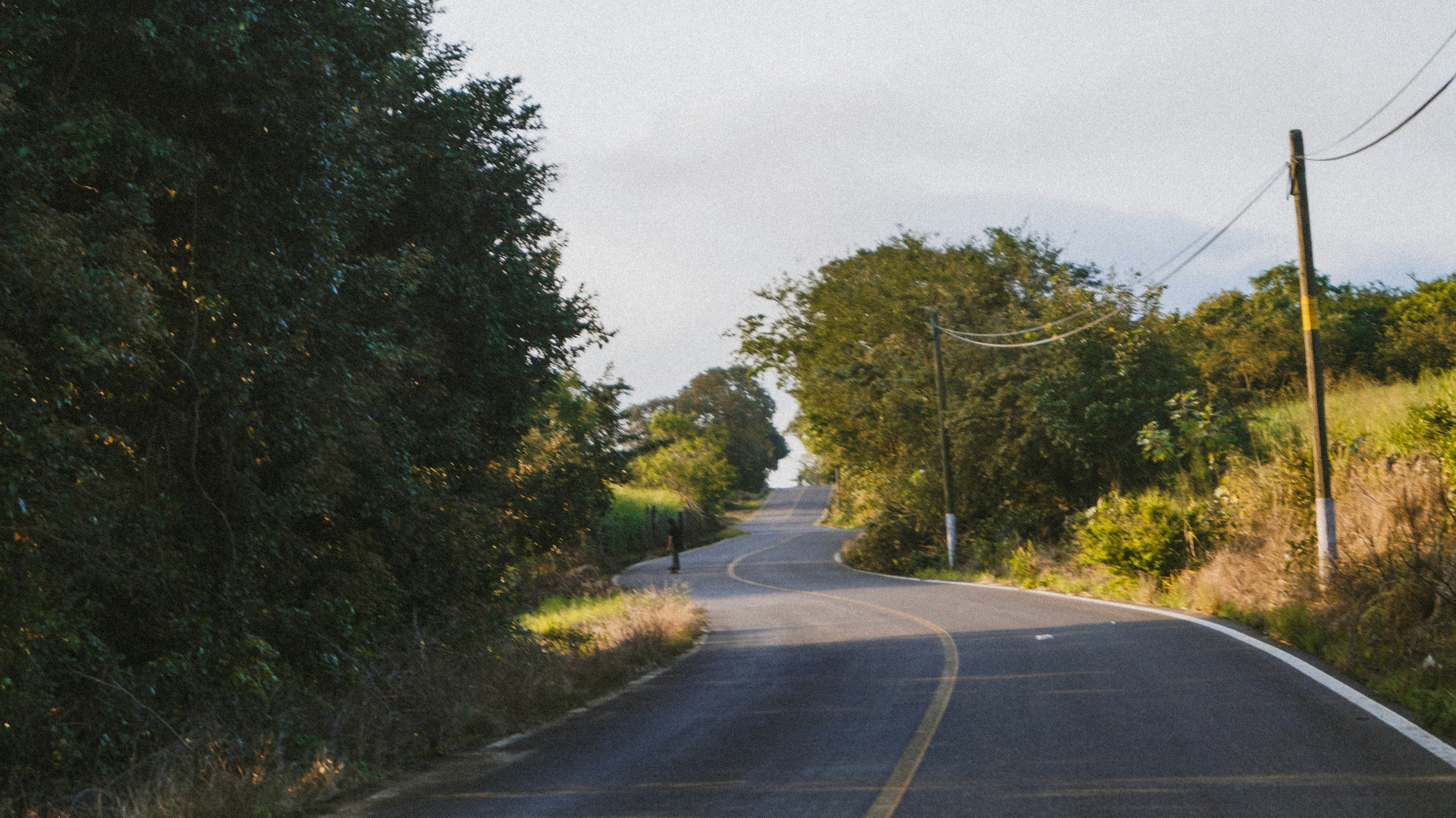 Curving road bordered by lush greenery and trees, leading into the distance under a soft sky.