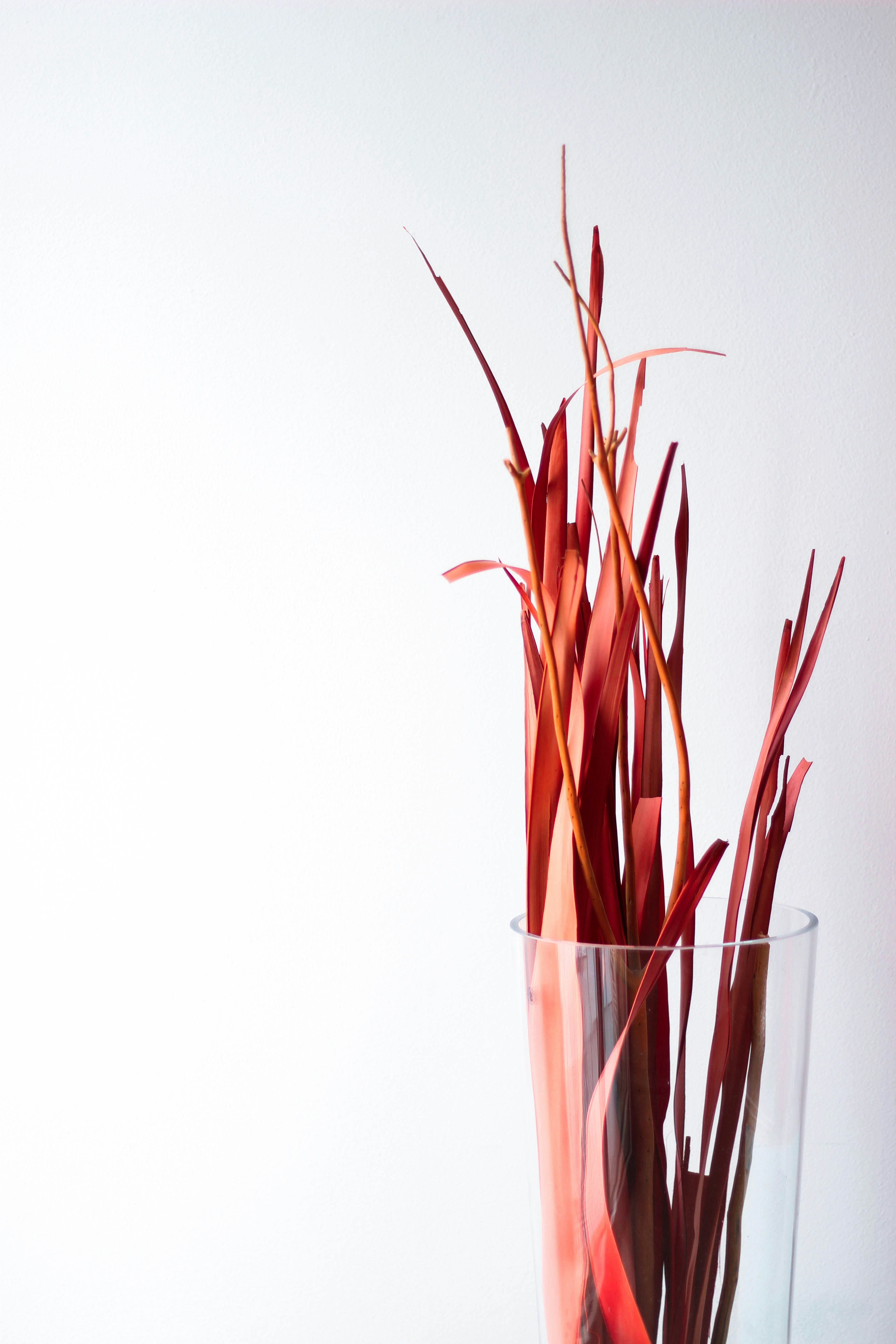 a glass vase filled with red flowers on top of a table
