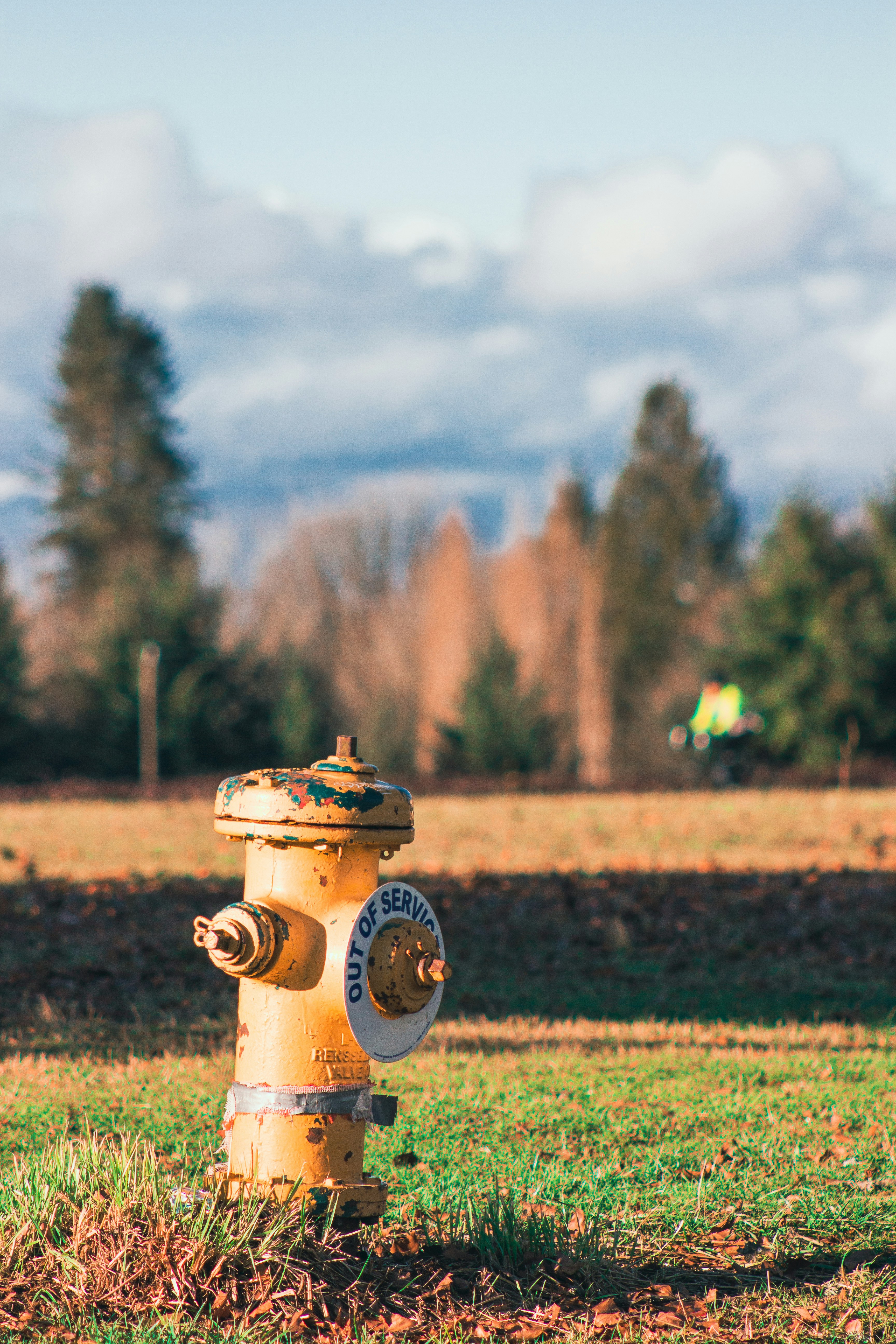 Rust-Streaked Fire Hydrant in a Sunlit Field with a Distant Forest Backdrop