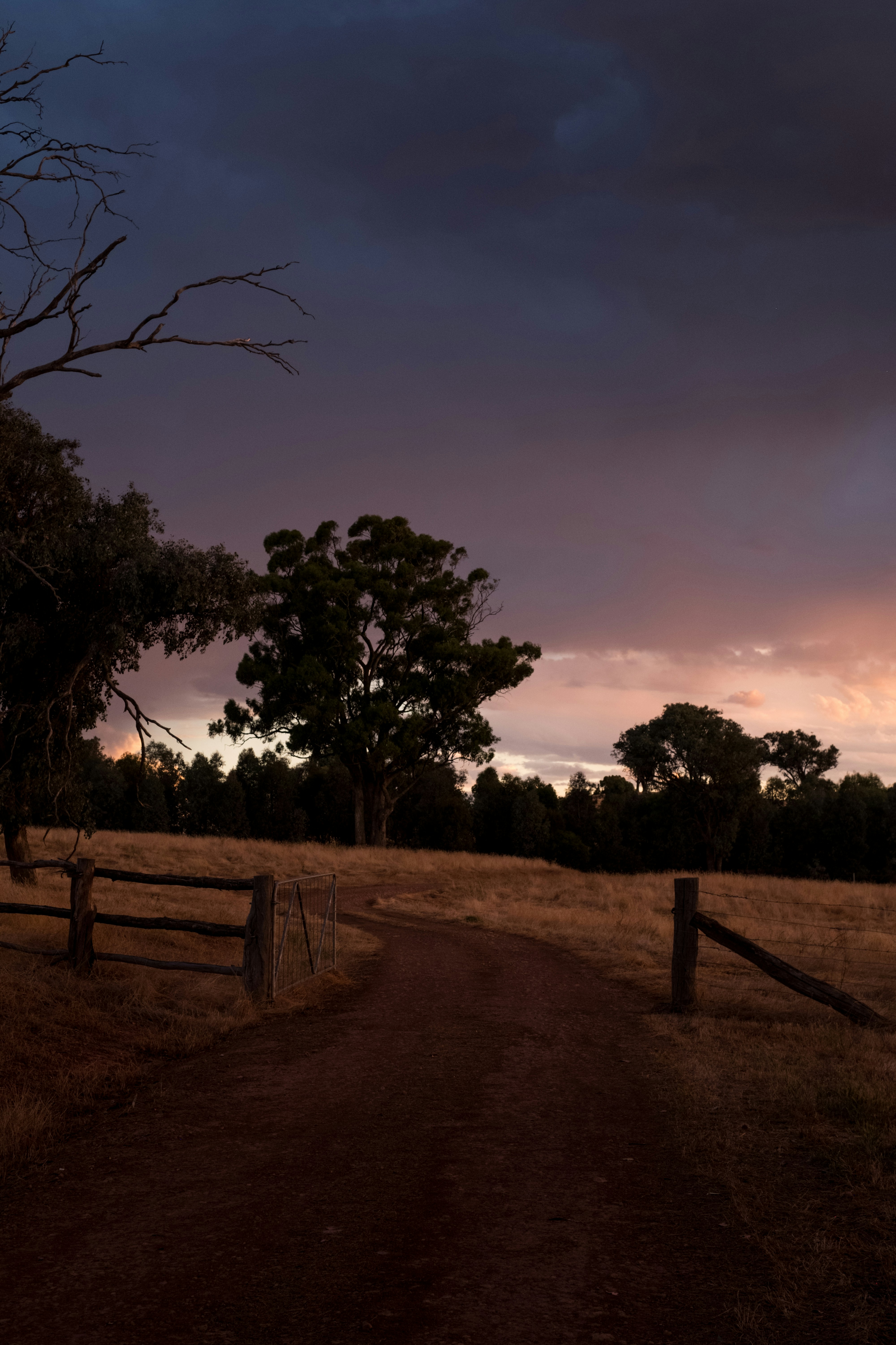 A winding dirt path leads through golden grasslands under a dramatic twilight sky, framed by silhouetted trees and a rustic fence.
