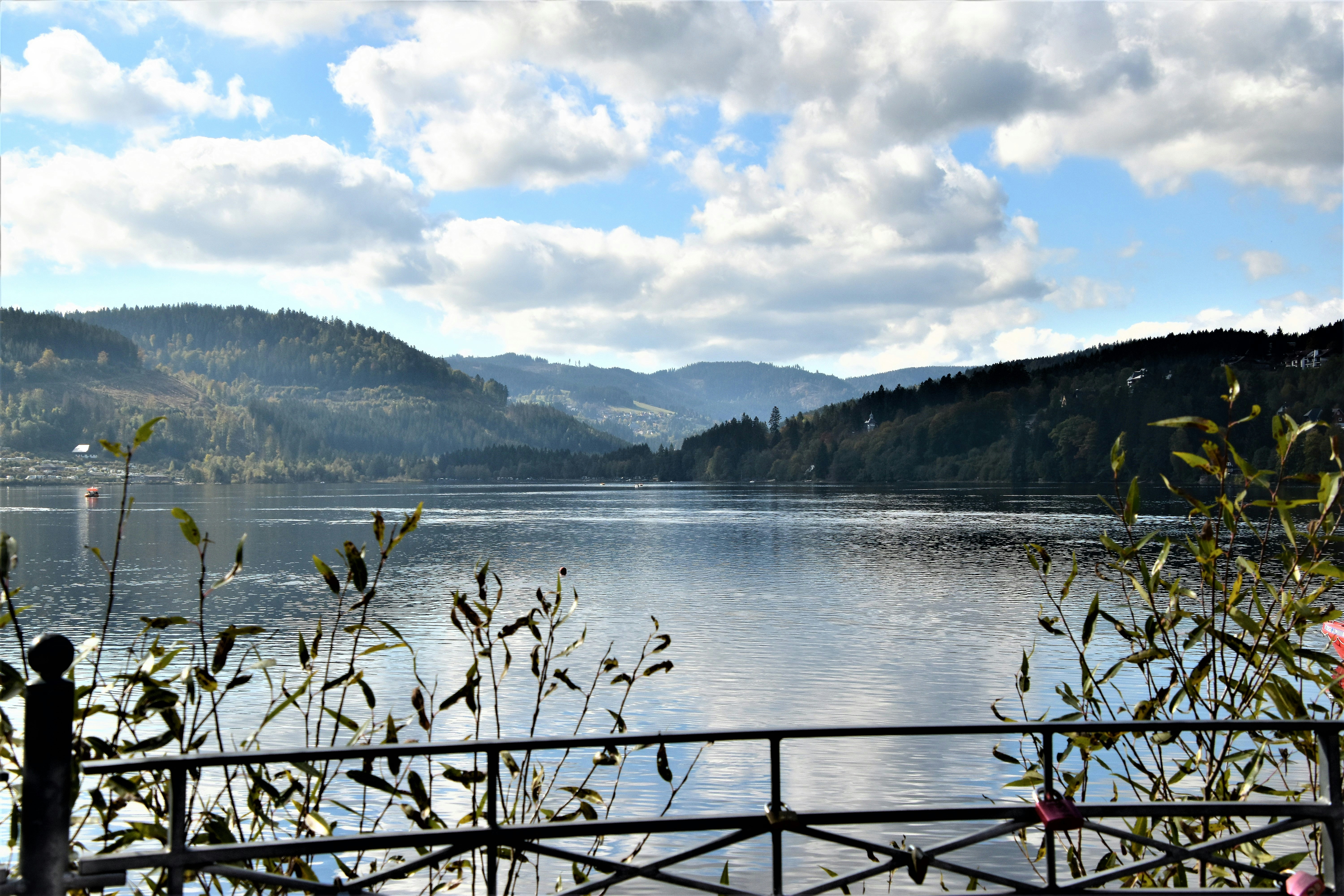 Rails to the Horizon: A Lake Between Forested Ridges