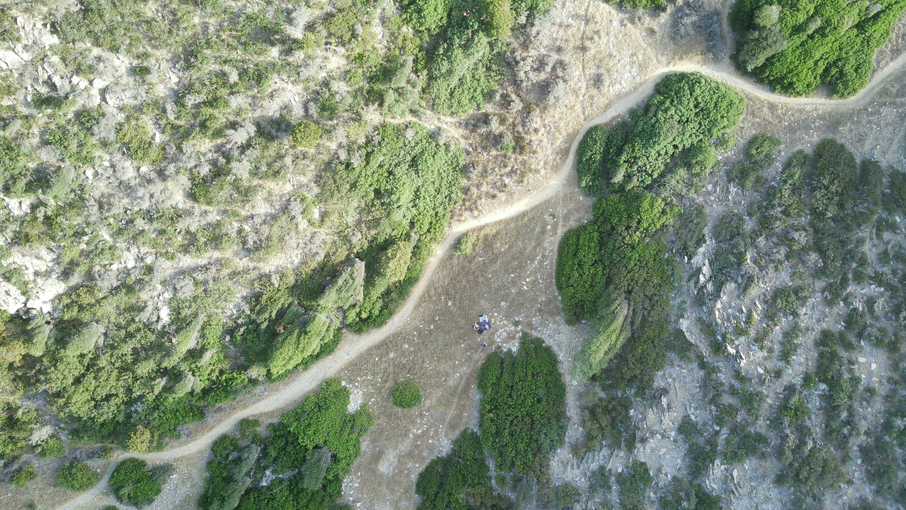 Aerial view of a winding path surrounded by vibrant greenery and rocky terrain, showcasing the natural landscape's texture and contours.
