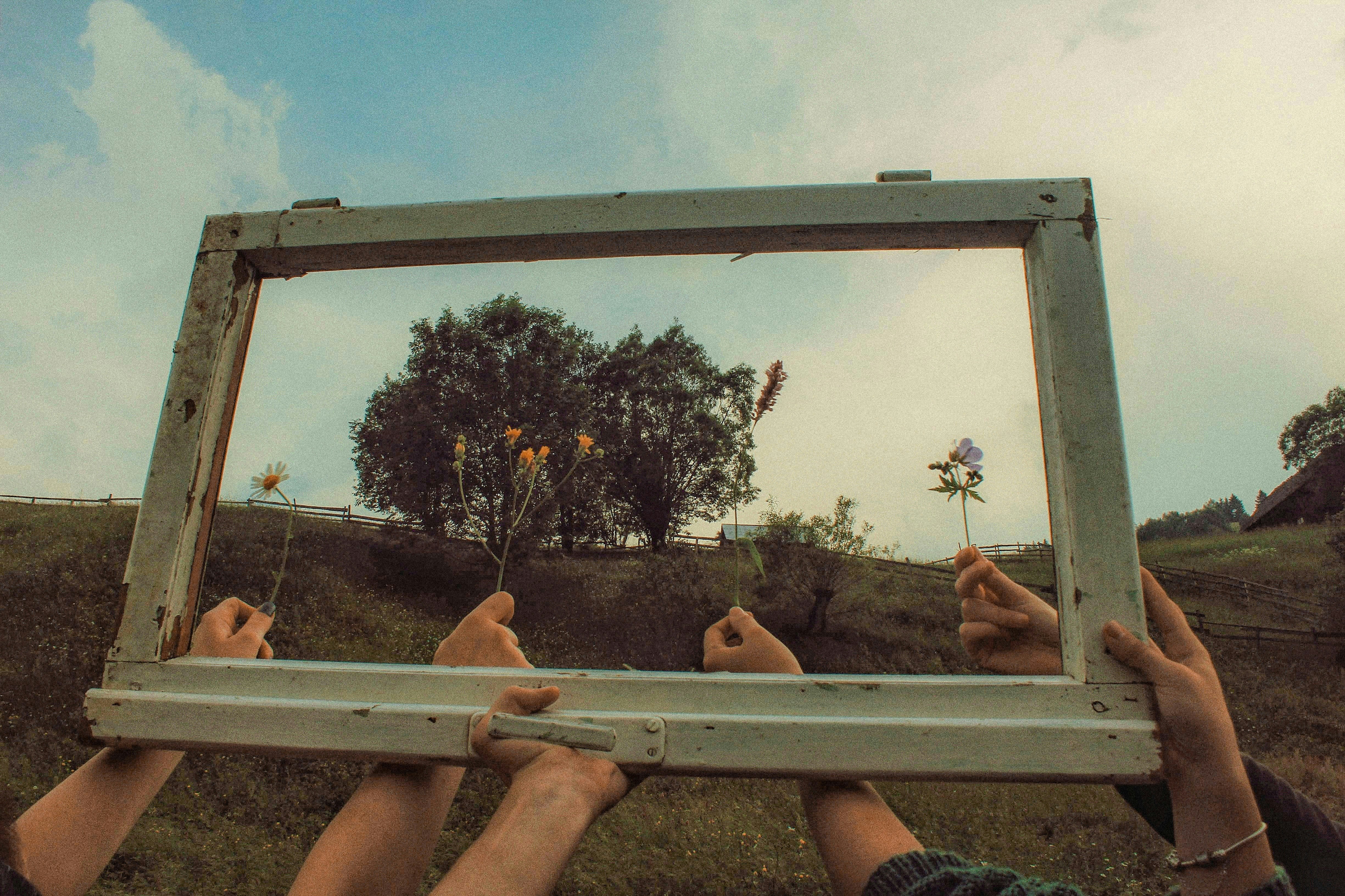Hands Lift a Frame to Celebrate Wildflowers under an Open Sky