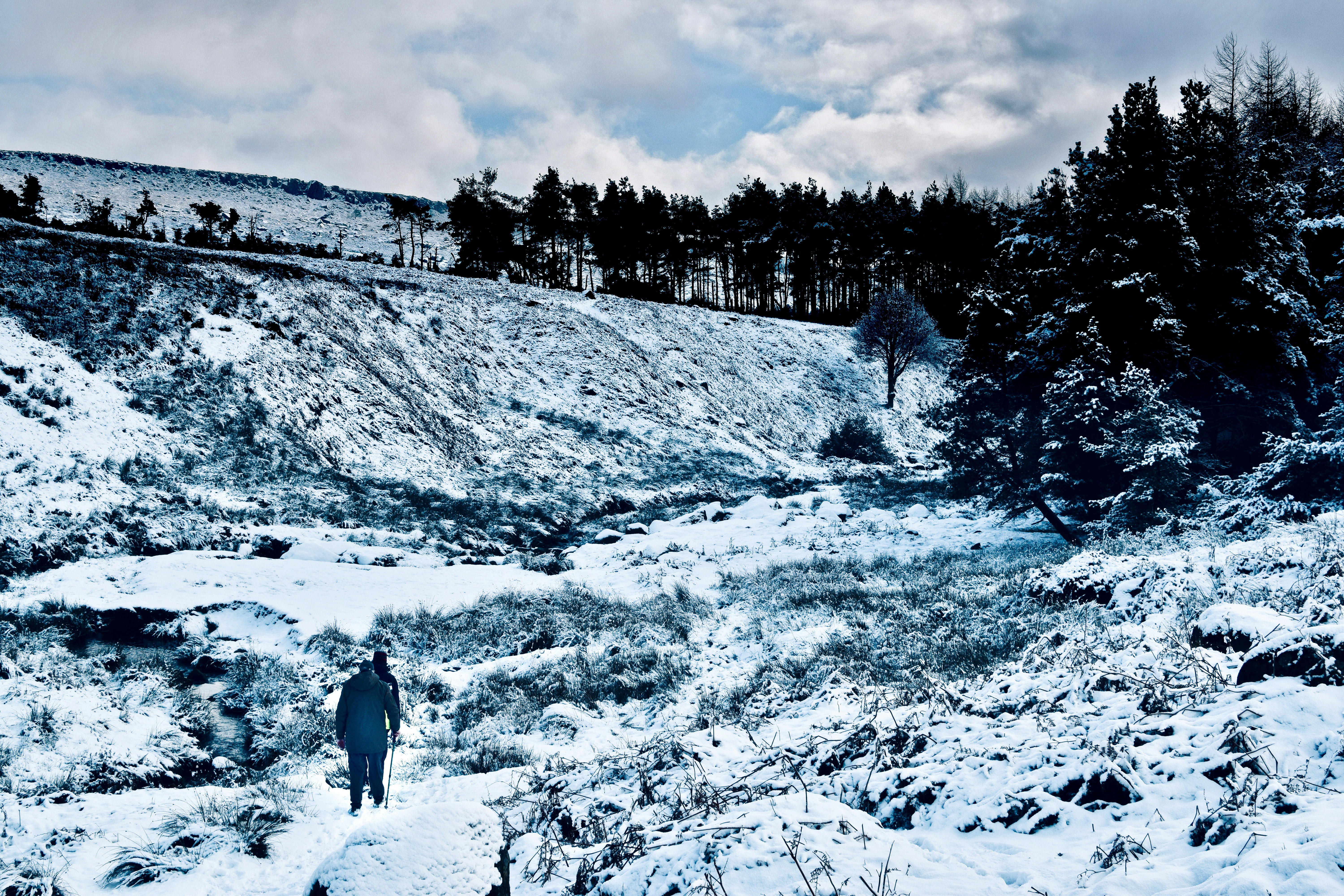 Sheffield Snow Photos | Télécharger des images gratuites sur Unsplash
