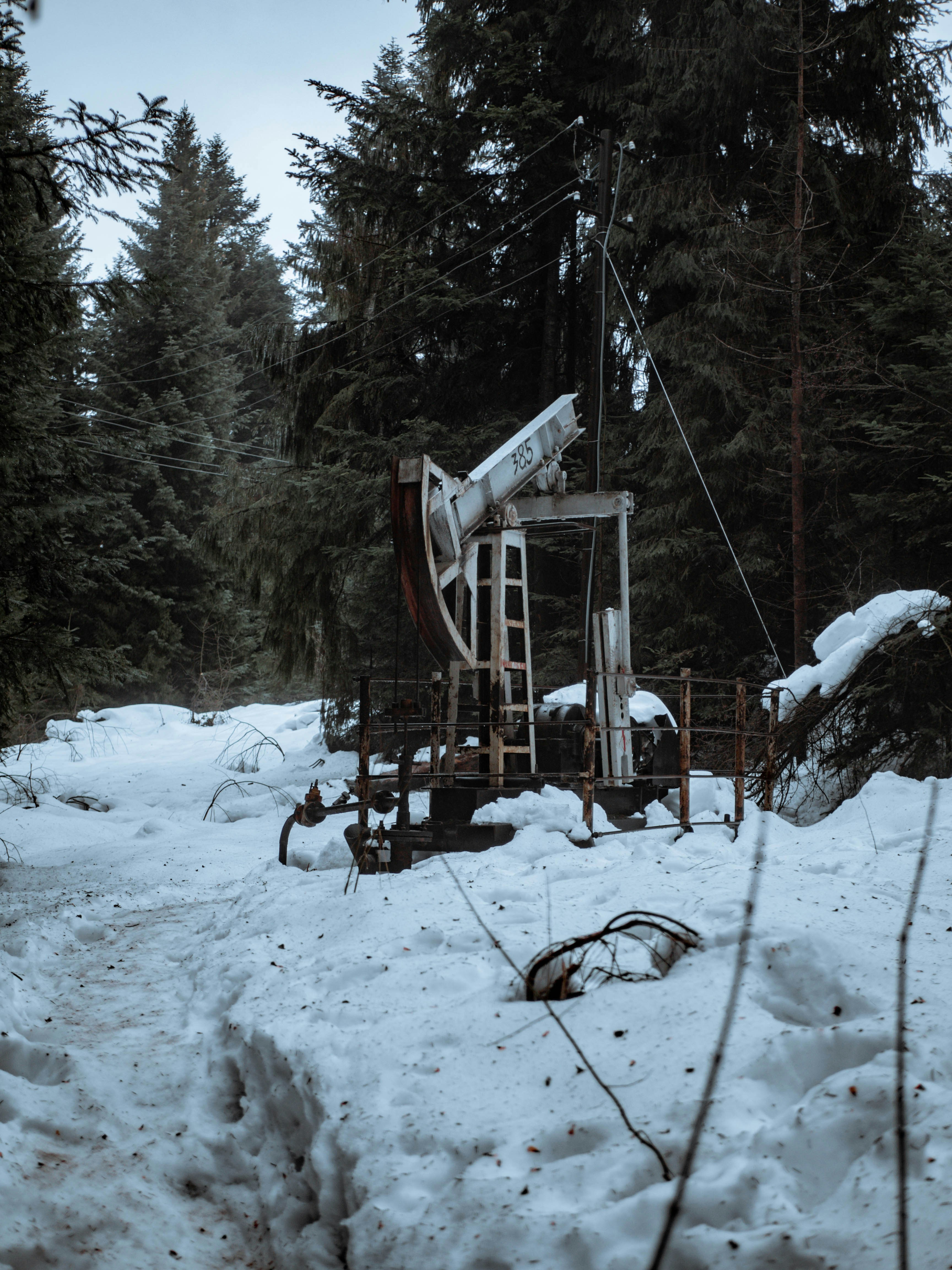 An old oil pump in the middle of a snowy forest photo – Free Plant ...