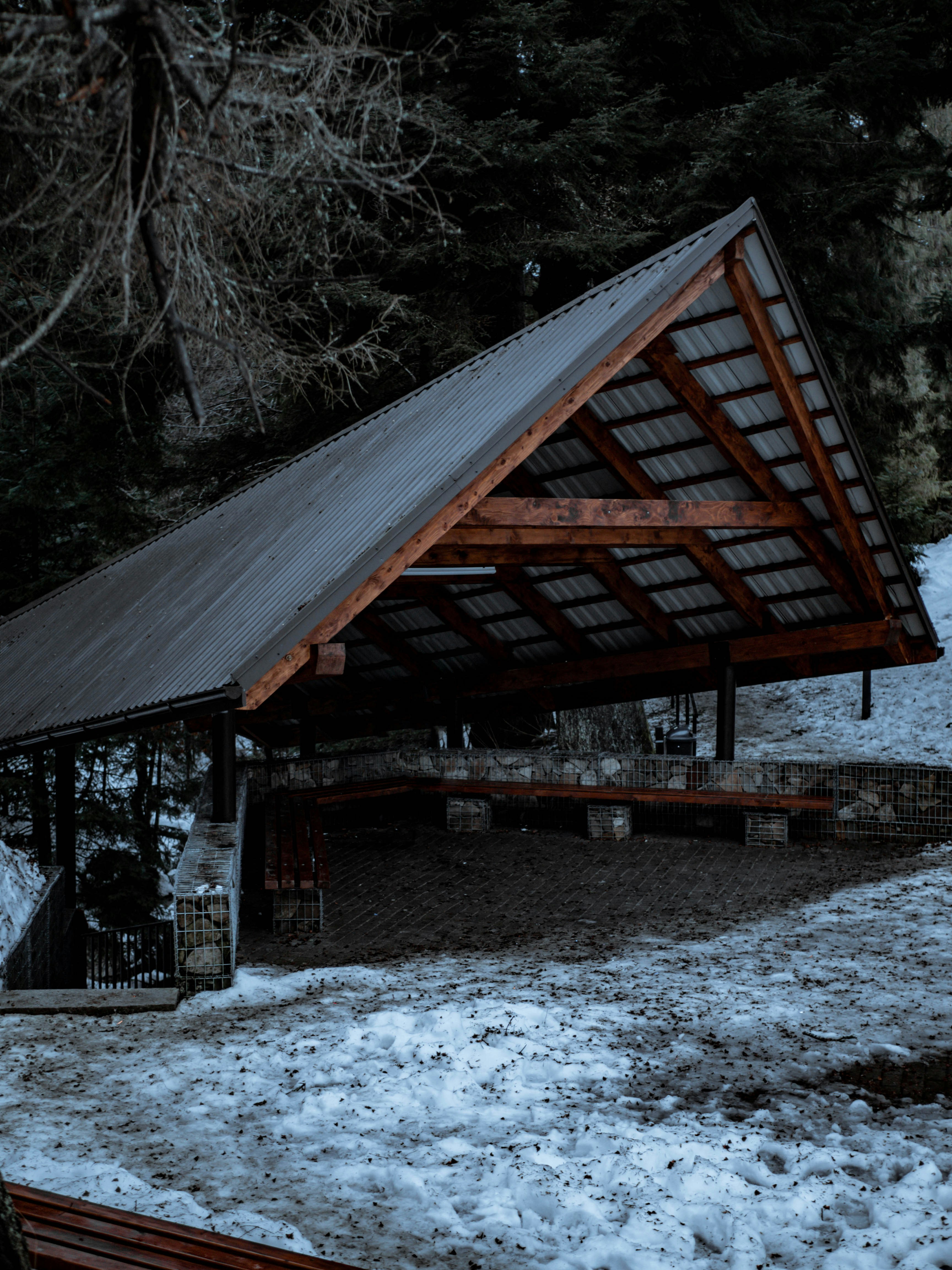 Snow‑streaked shelter under pine canopy