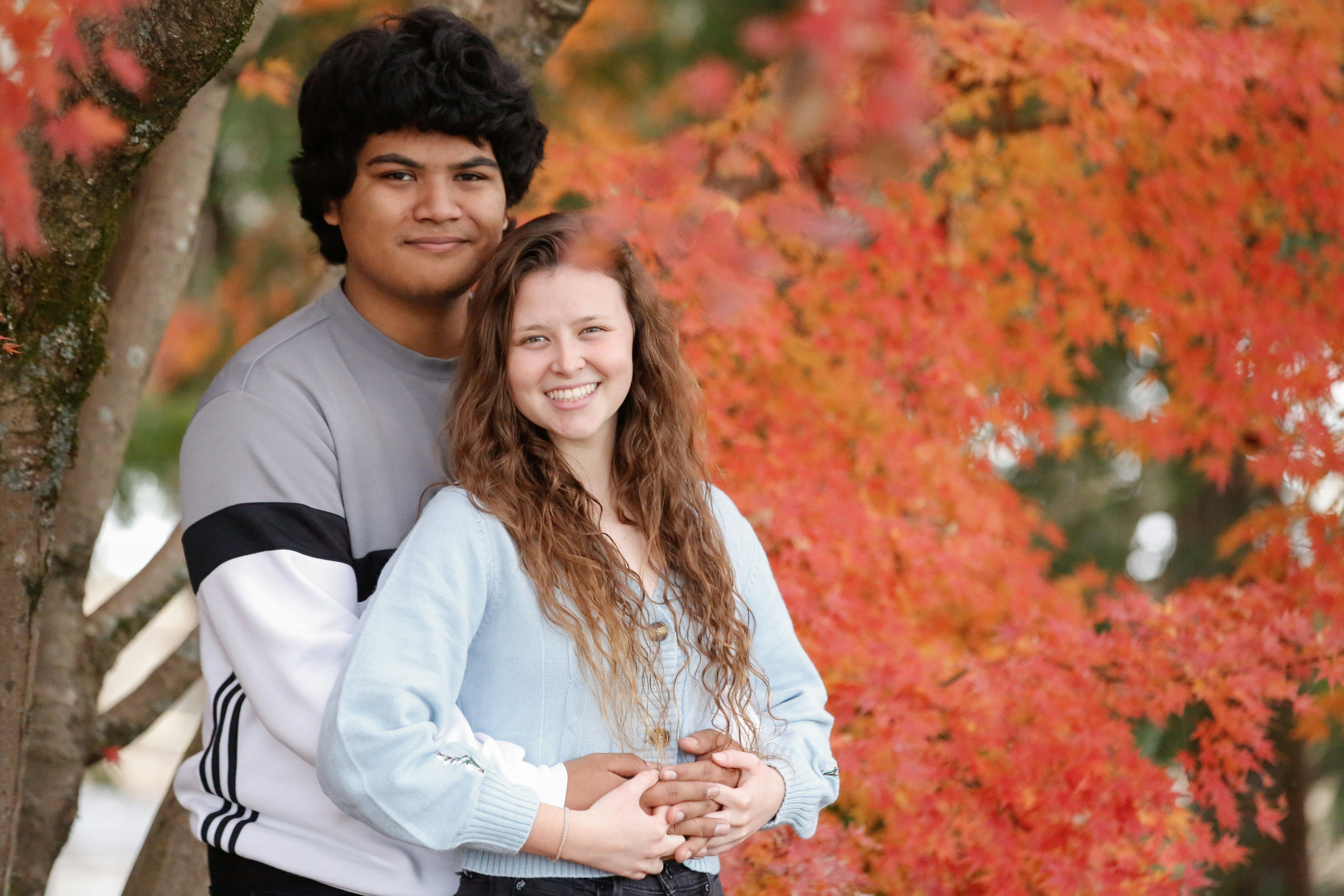 Crimson Canopy Portrait: An Autumn Embrace Amid Red Leaves