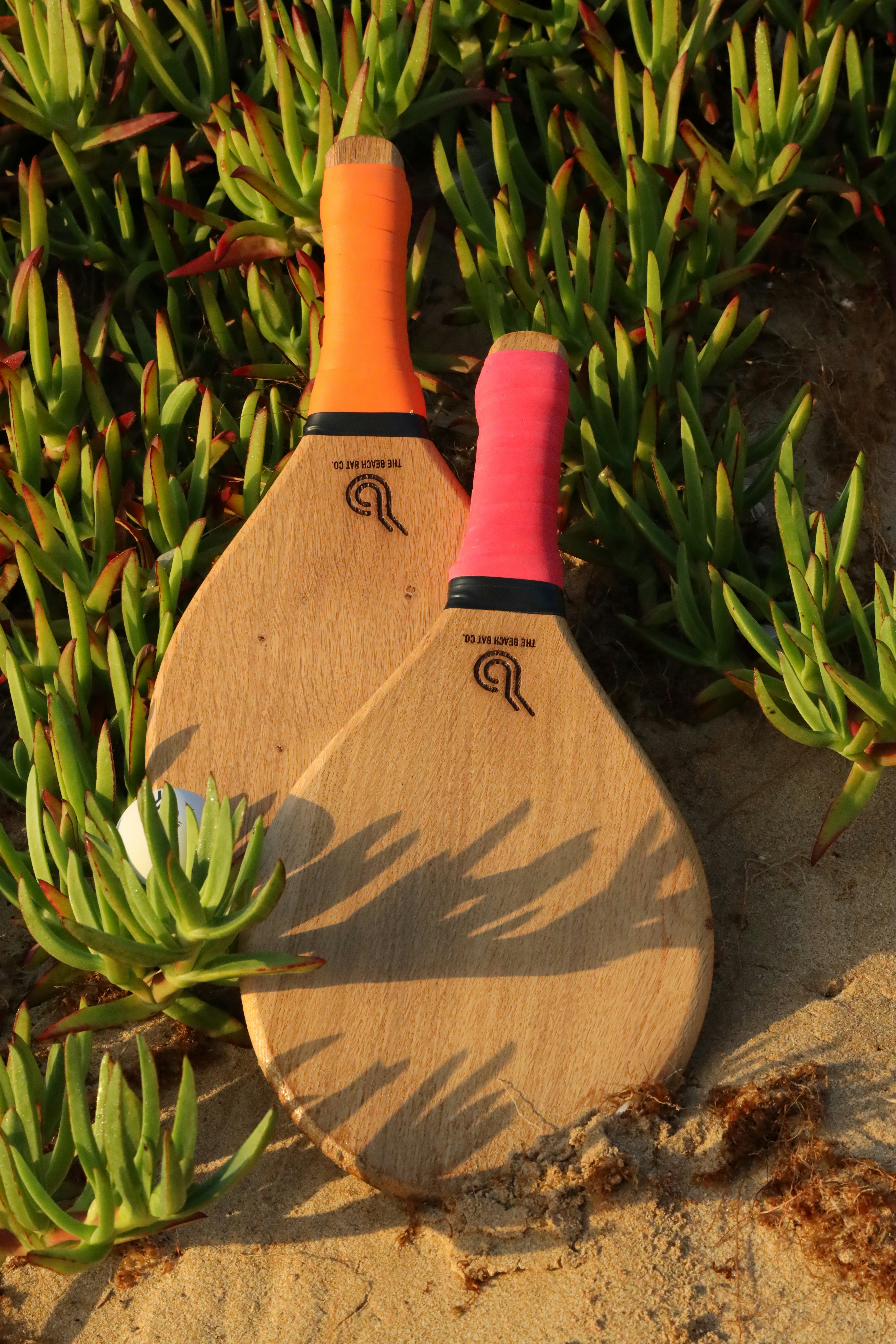 Neon Handles on a Sandy Shore: Dual Paddles Rest Among Succulents