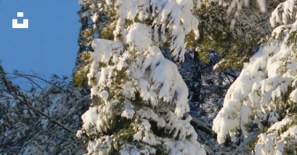 Une Personne Sur Une Planche à Neige Dans La Neige Photo Photo Etats