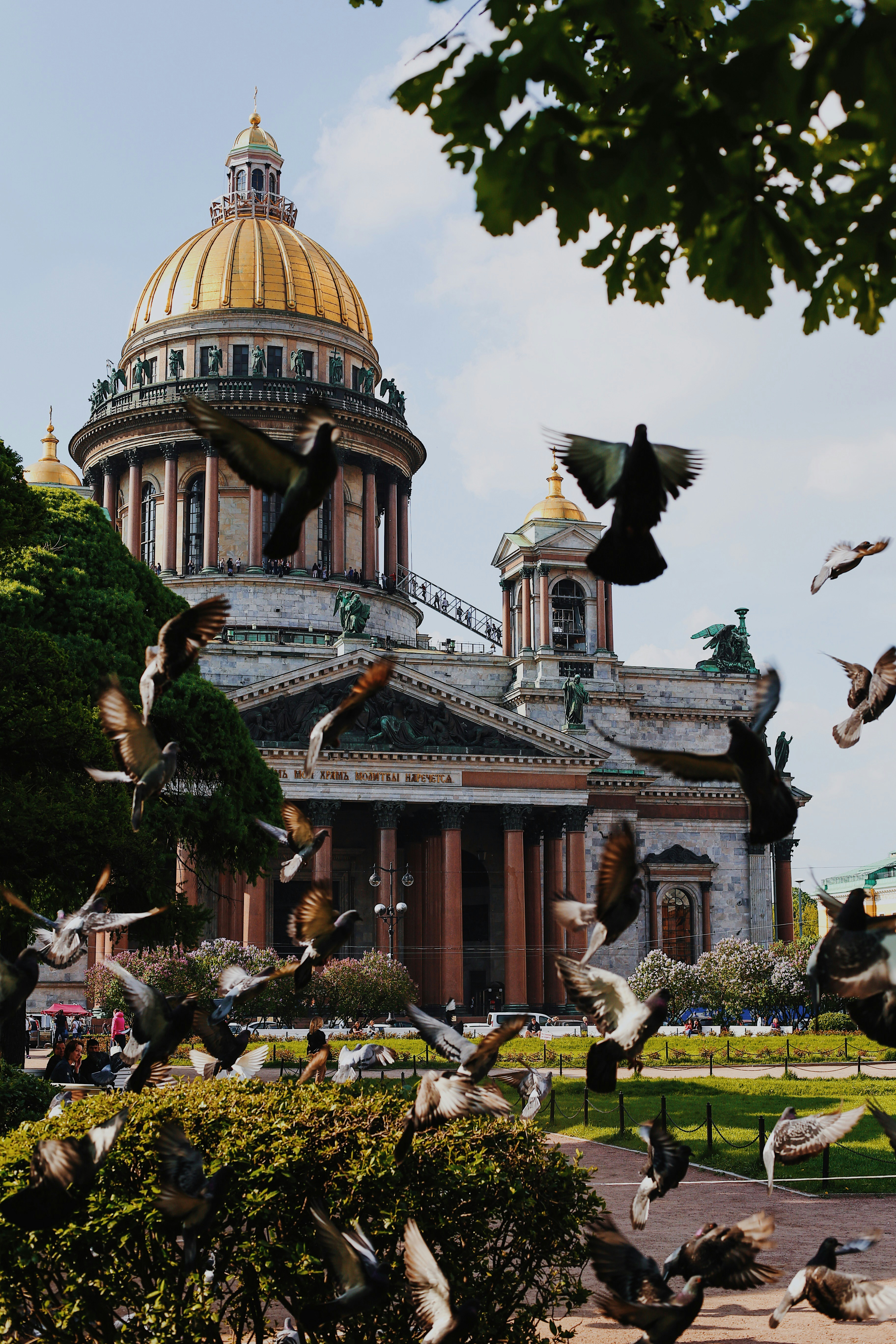 a flock of birds flying around a building