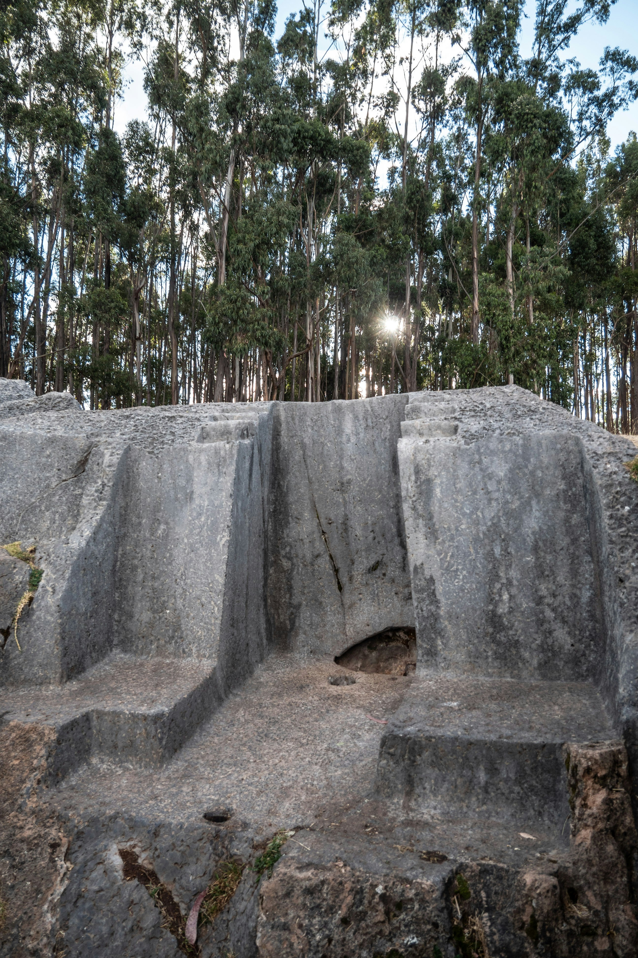 Whispers of Time: Carved Stone and Towering Trees