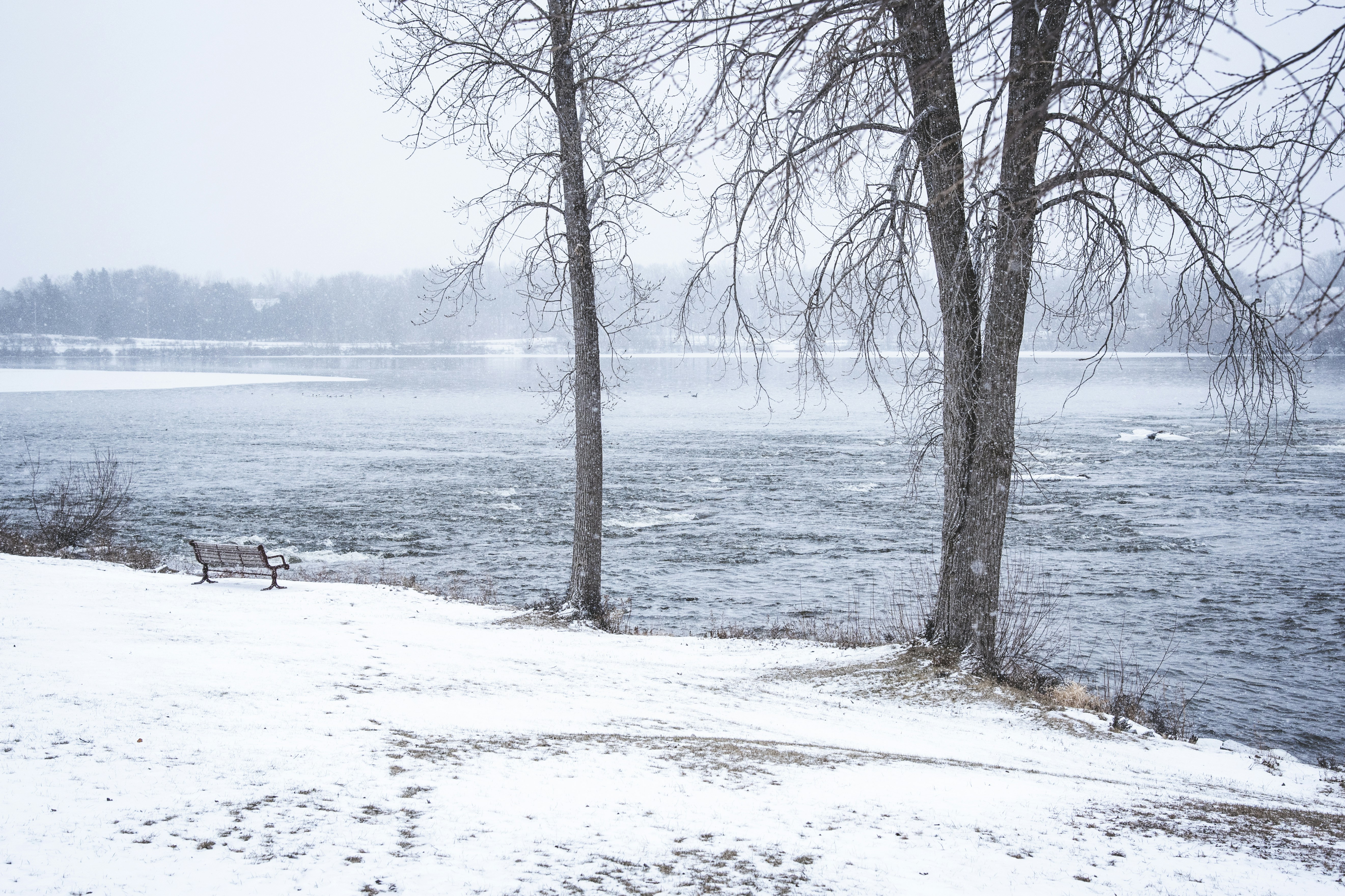 Snow-covered landscape with bare trees beside a frozen lake.