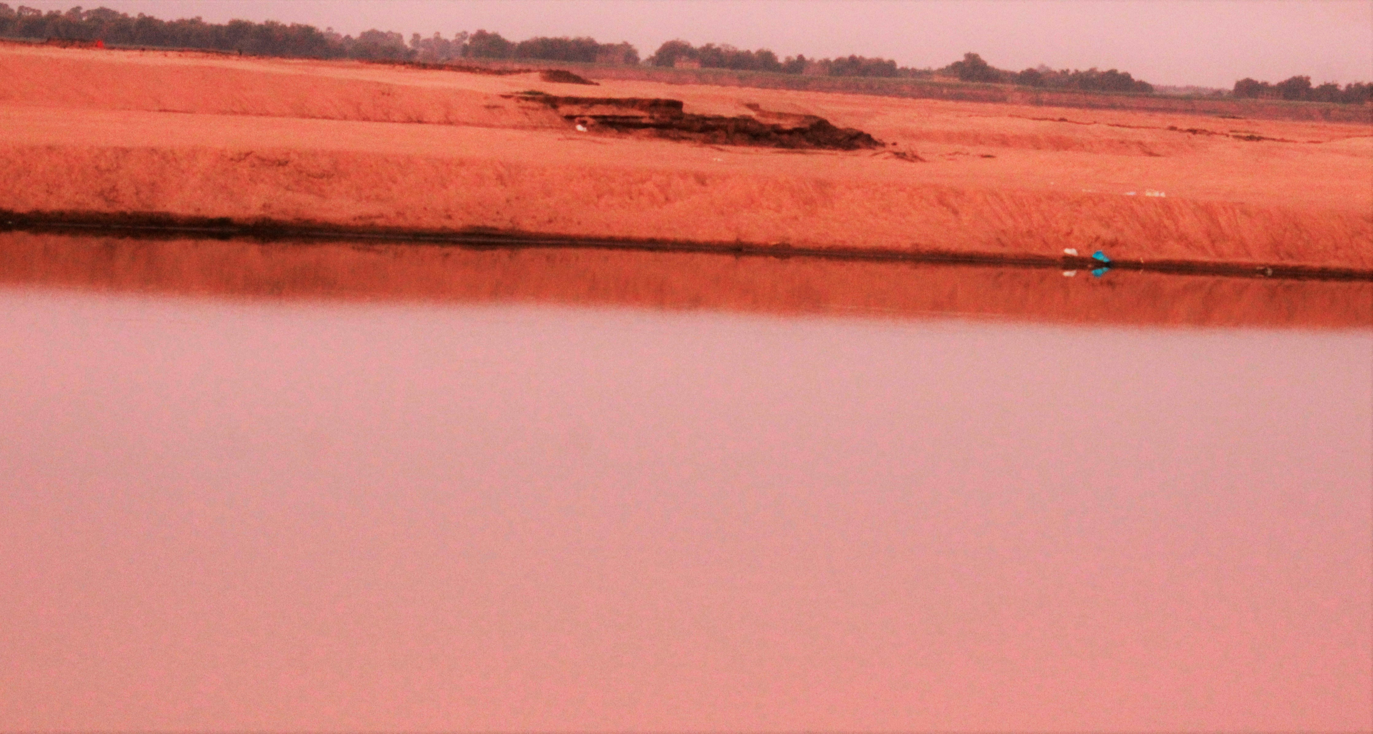 Rosy Shoreline: Quiet Riverbank Under a Powder-Pink Sky