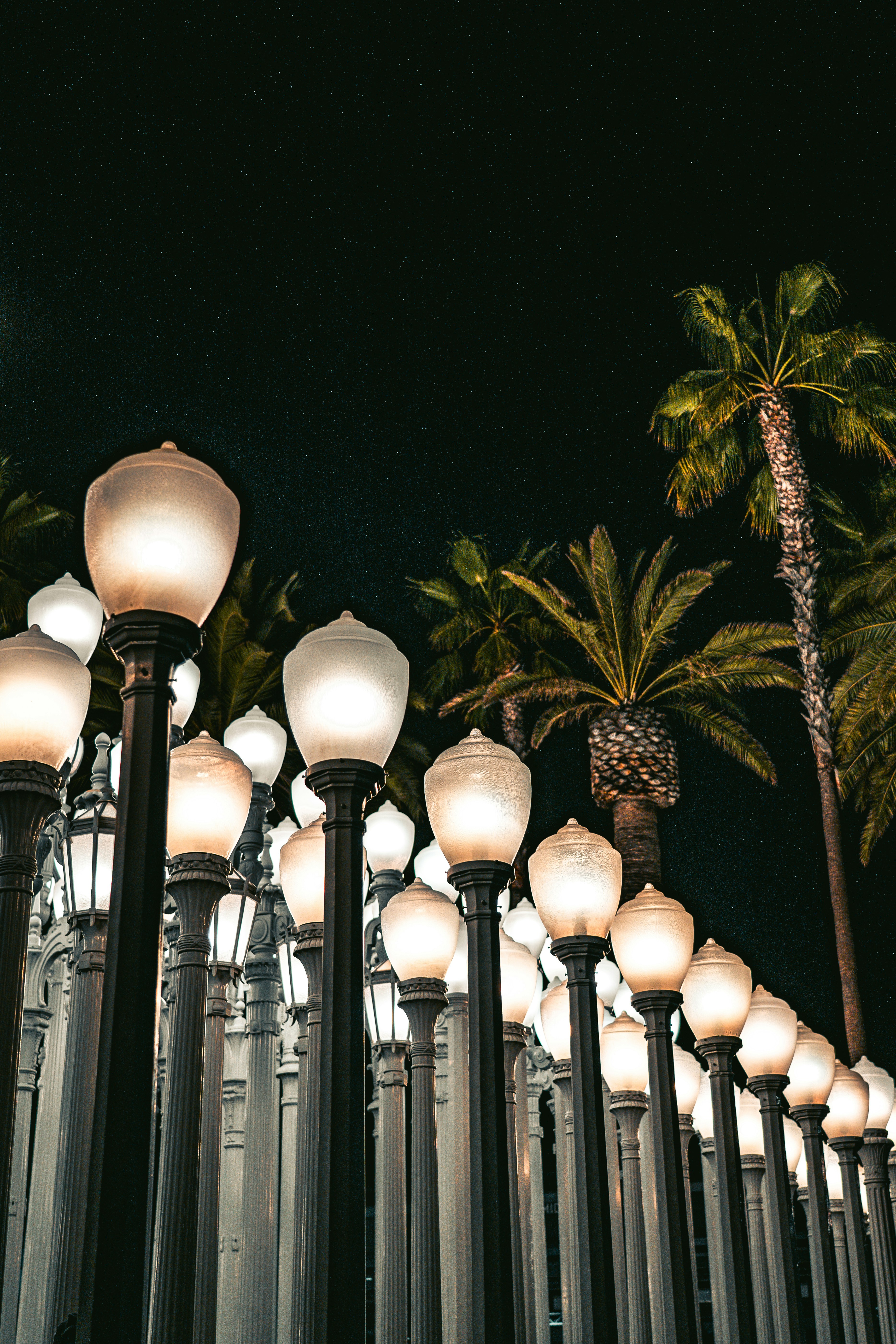 Rows of vintage street lamps illuminate a pathway, framed by lush palm trees against a starry night sky.