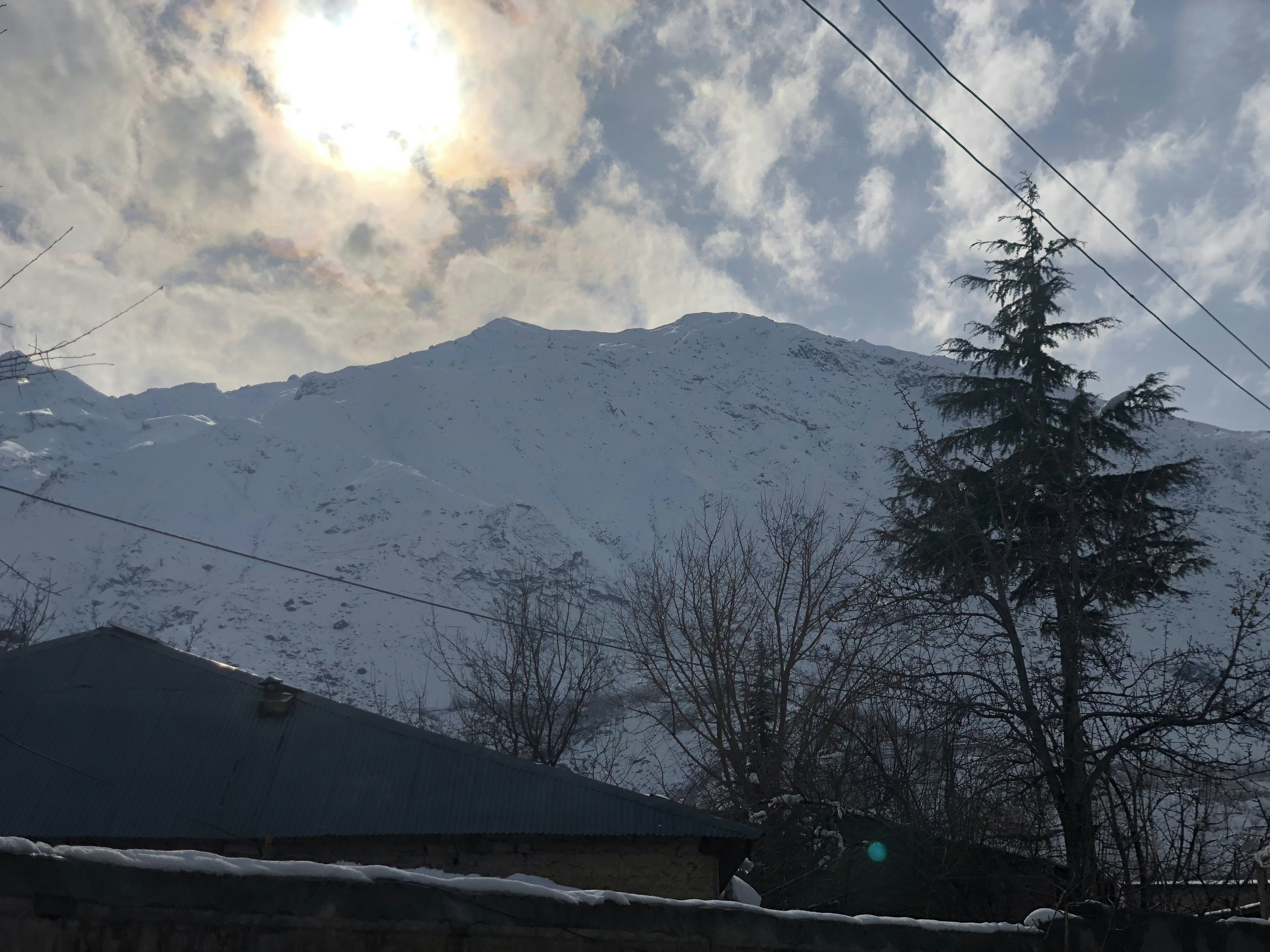 Dawn Crest: Snowbound Ridge Framed by Wires and a Lone Pine