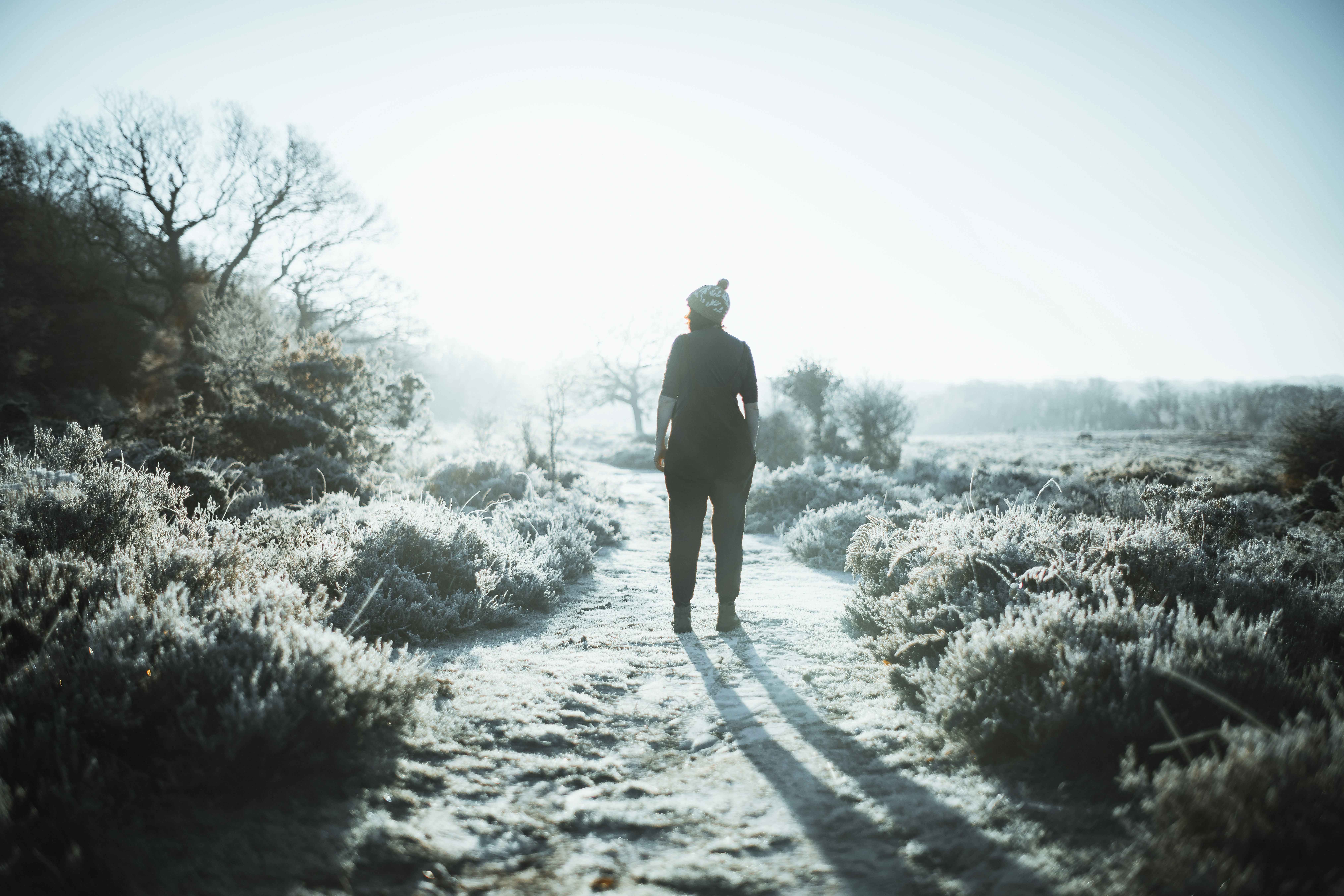 Silhouette of a person walking along a frosty trail, surrounded by icy vegetation under a bright sky.