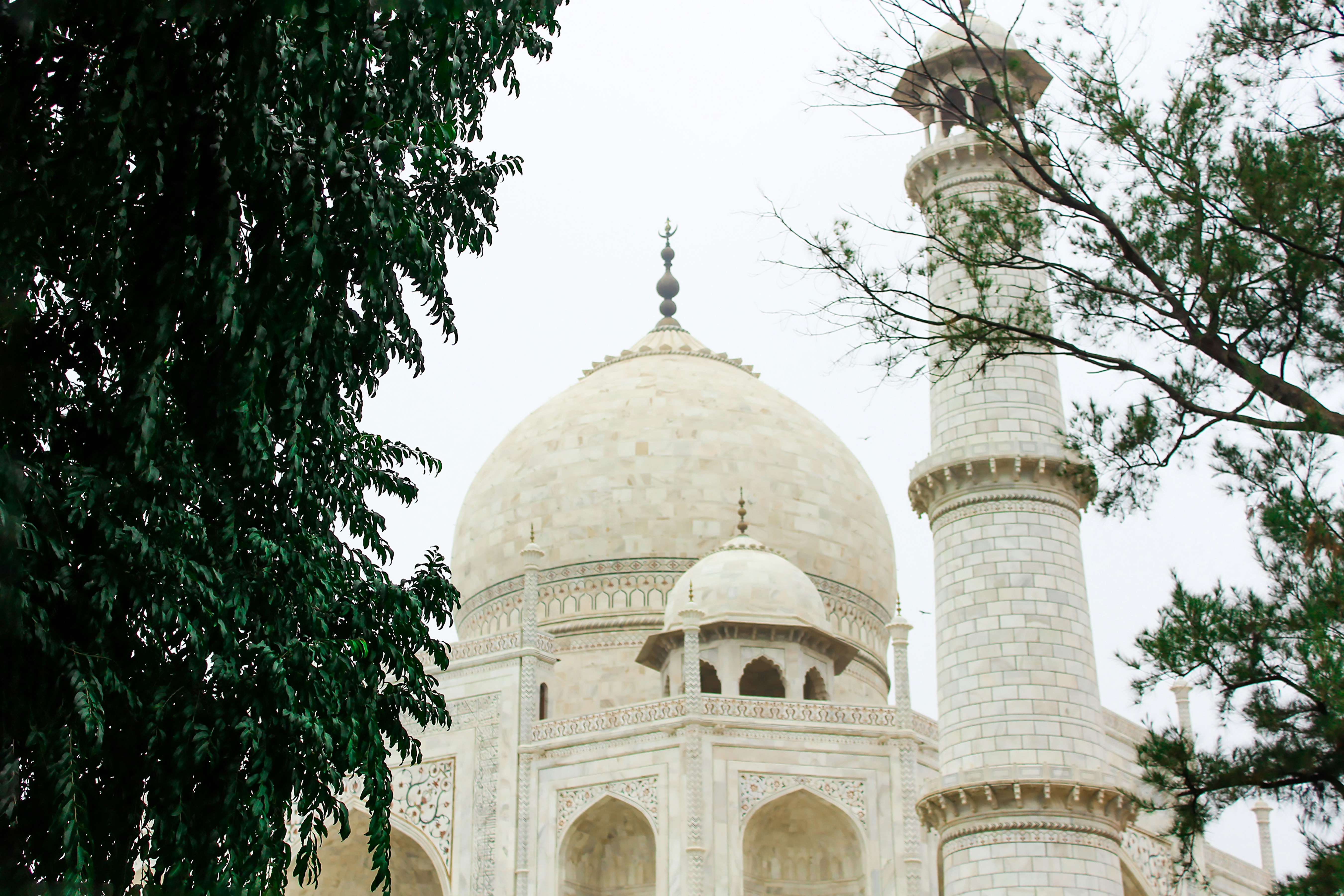 Dome under Shade: Taj-Inspired Monument Framed by Foliage
