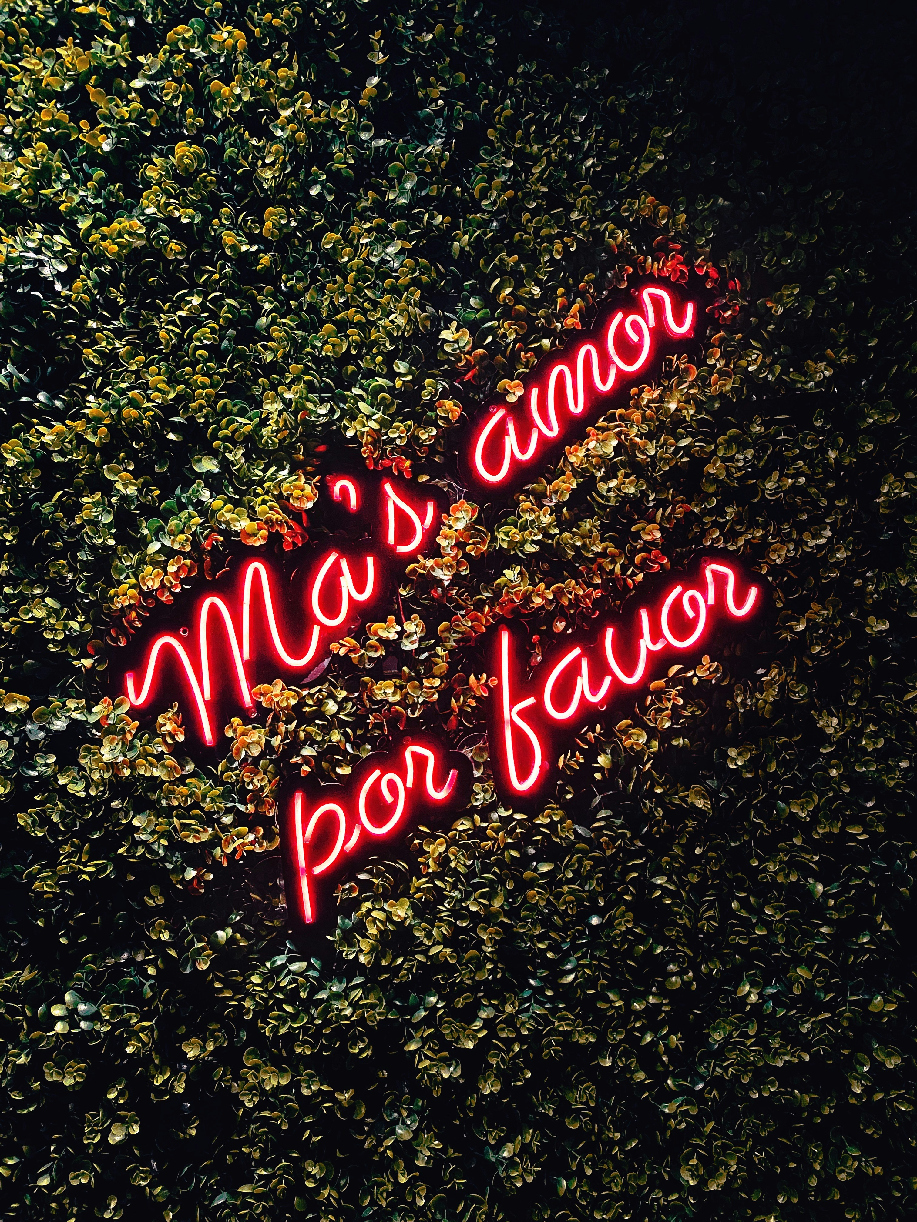 Neon Script in a Mossy Night