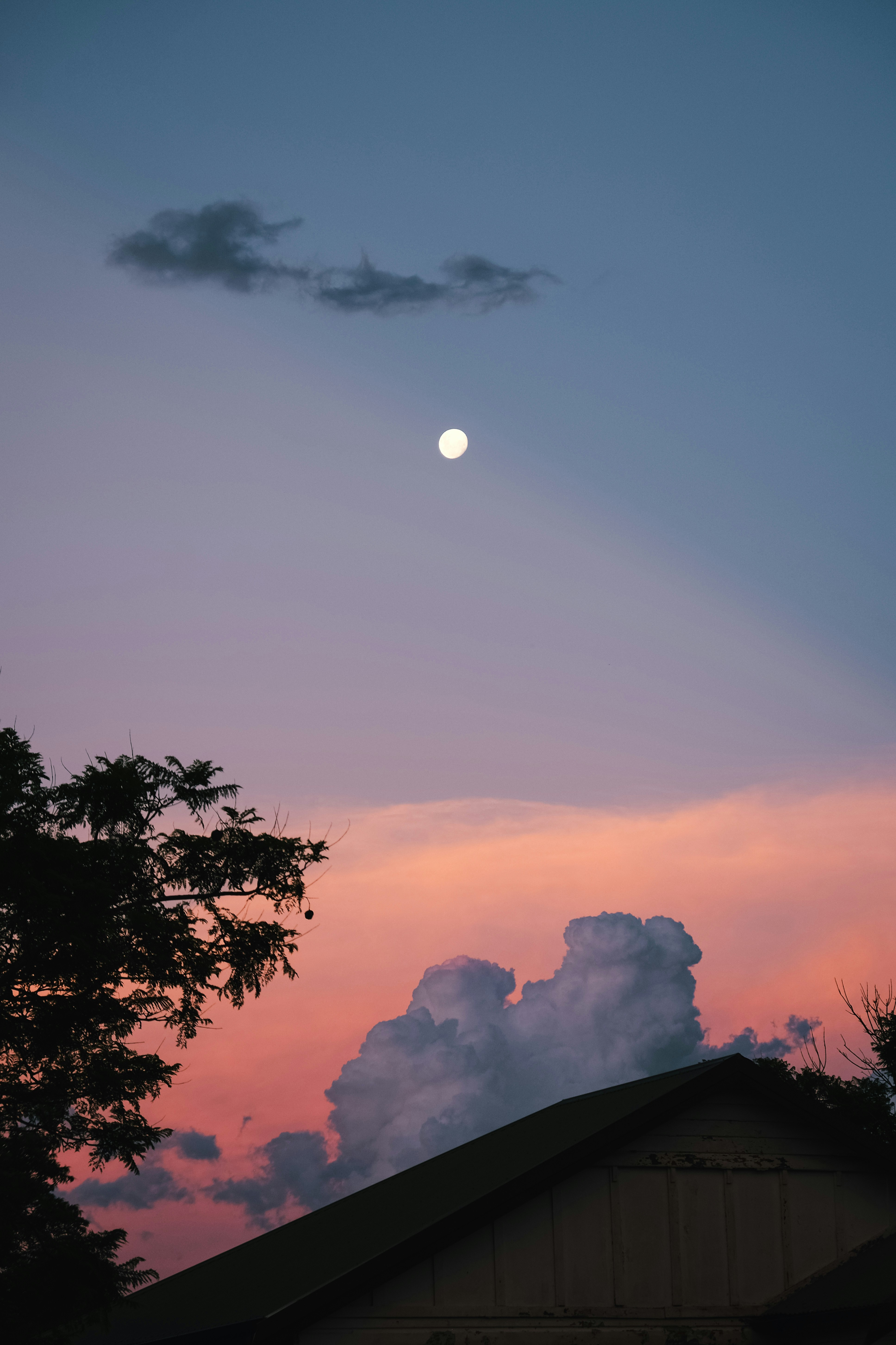 Moonrise Over Violet Dusk on a Quiet Rooftop