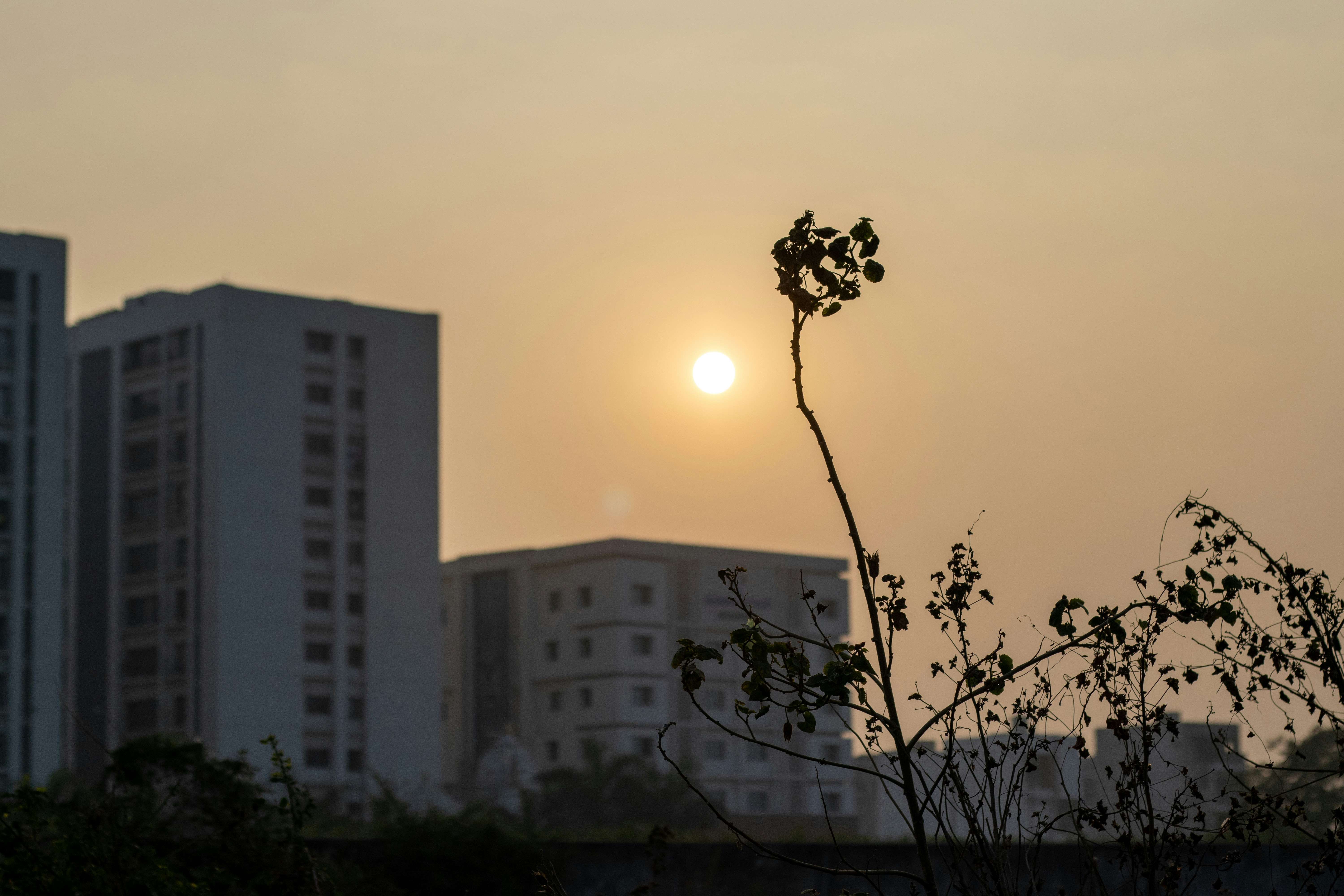 The sun is setting over a city with tall buildings photo – Free Vesu ...