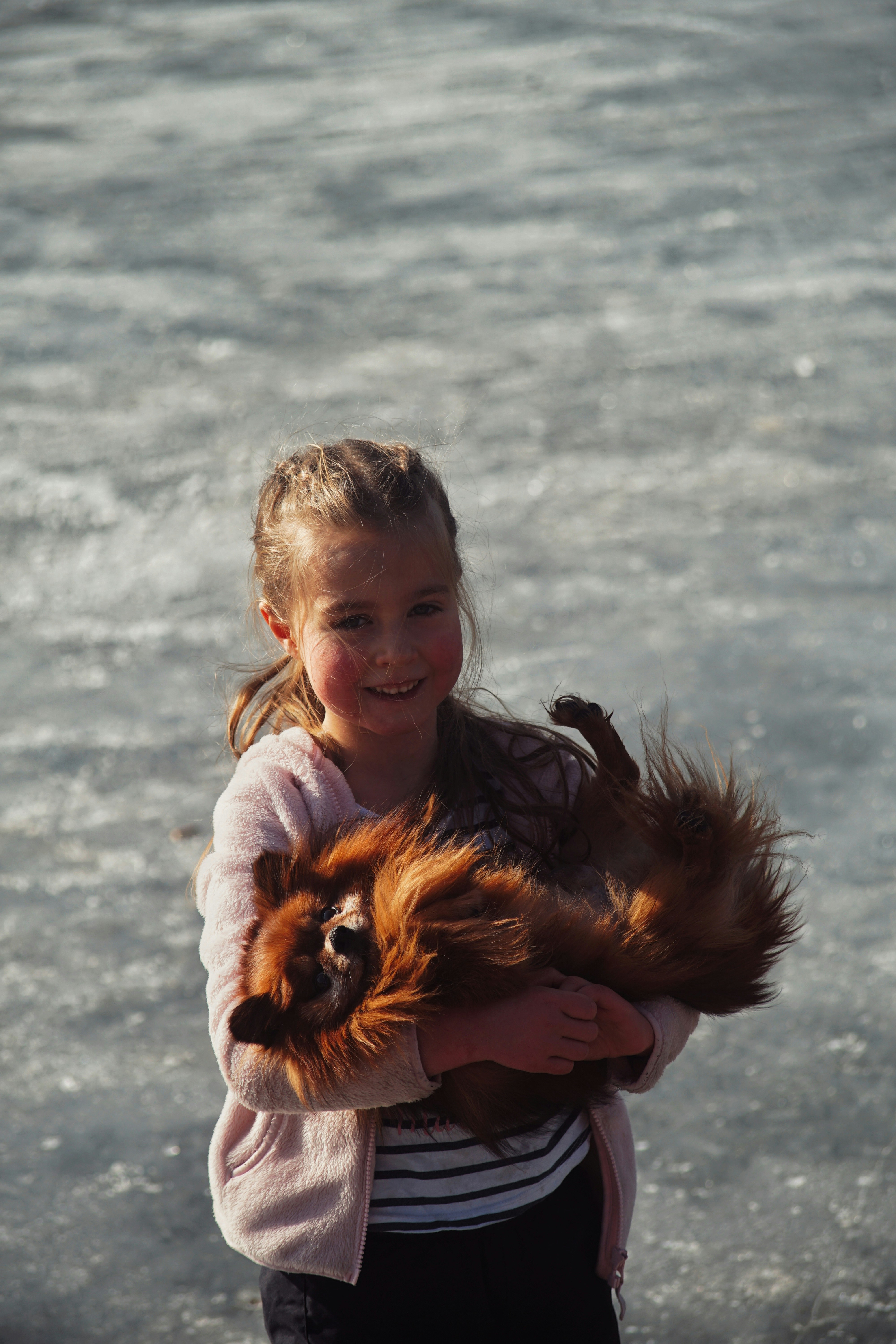a little girl holding a dog on the beach