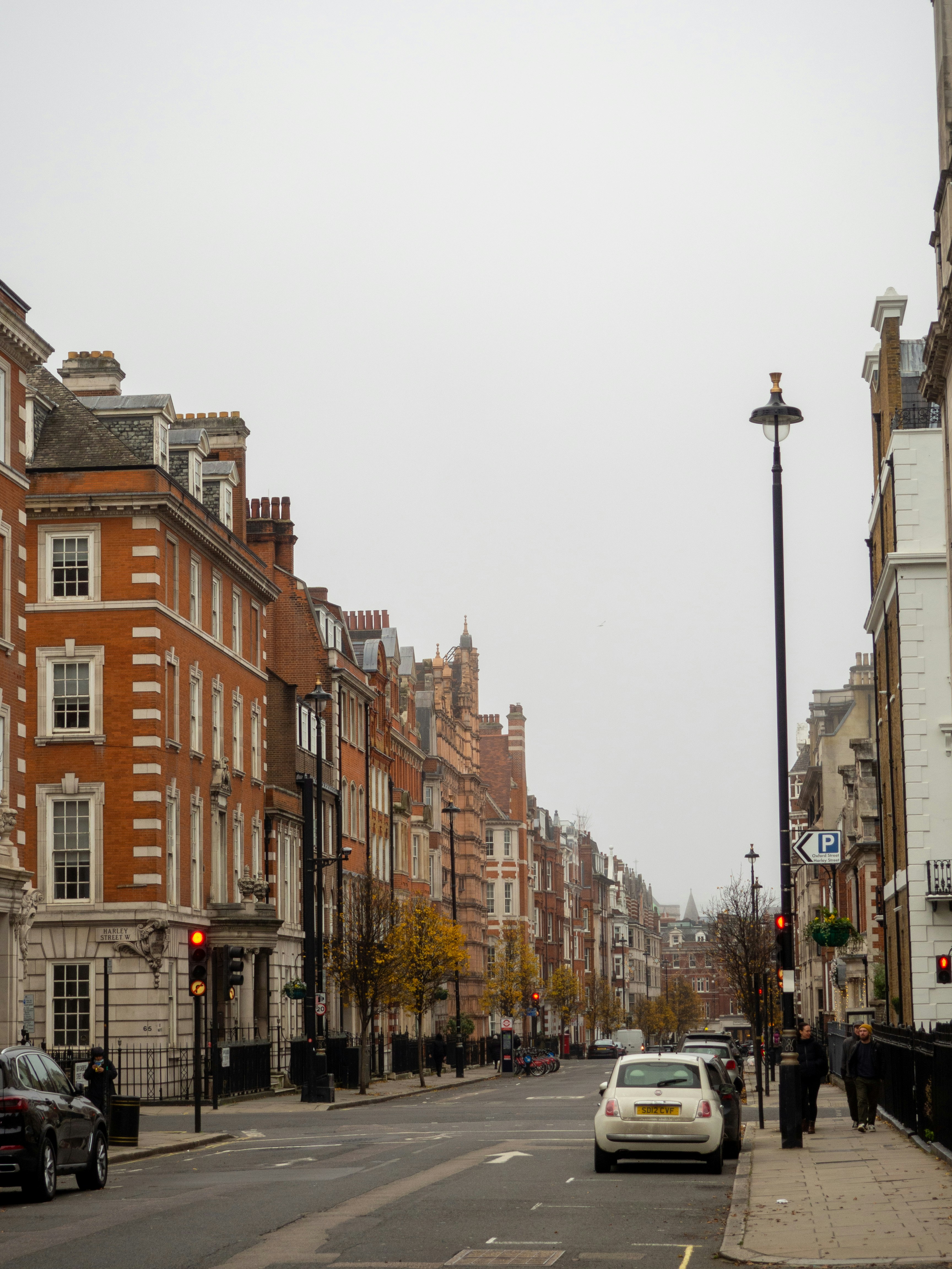 Charming London street lined with historic architecture, showcasing autumn foliage amidst a cloudy sky. Traffic lights and pedestrians add life to the scene.