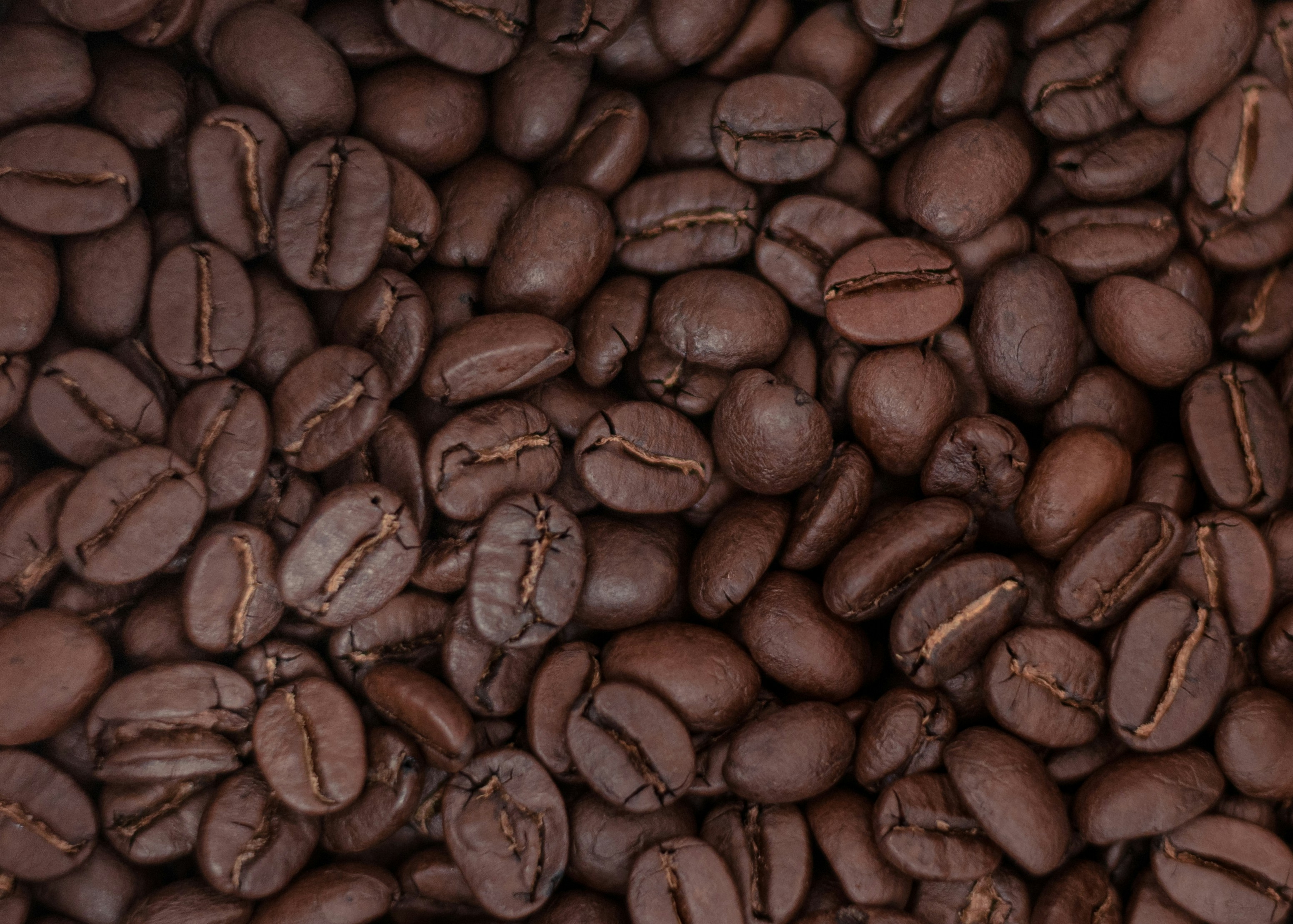a pile of roasted coffee beansMona Jain