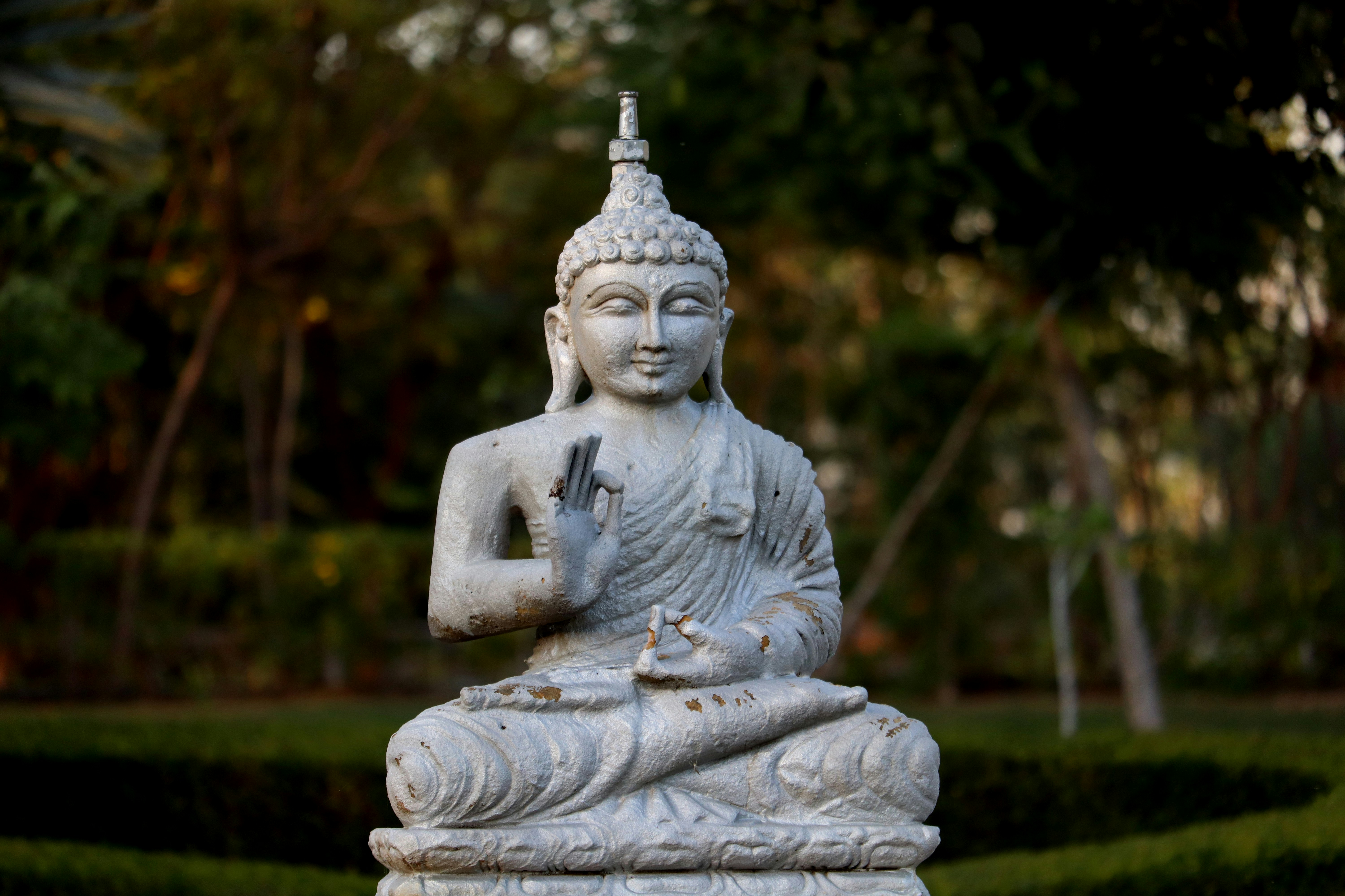 Stone Buddha statue seated amidst lush greenery in a tranquil garden.