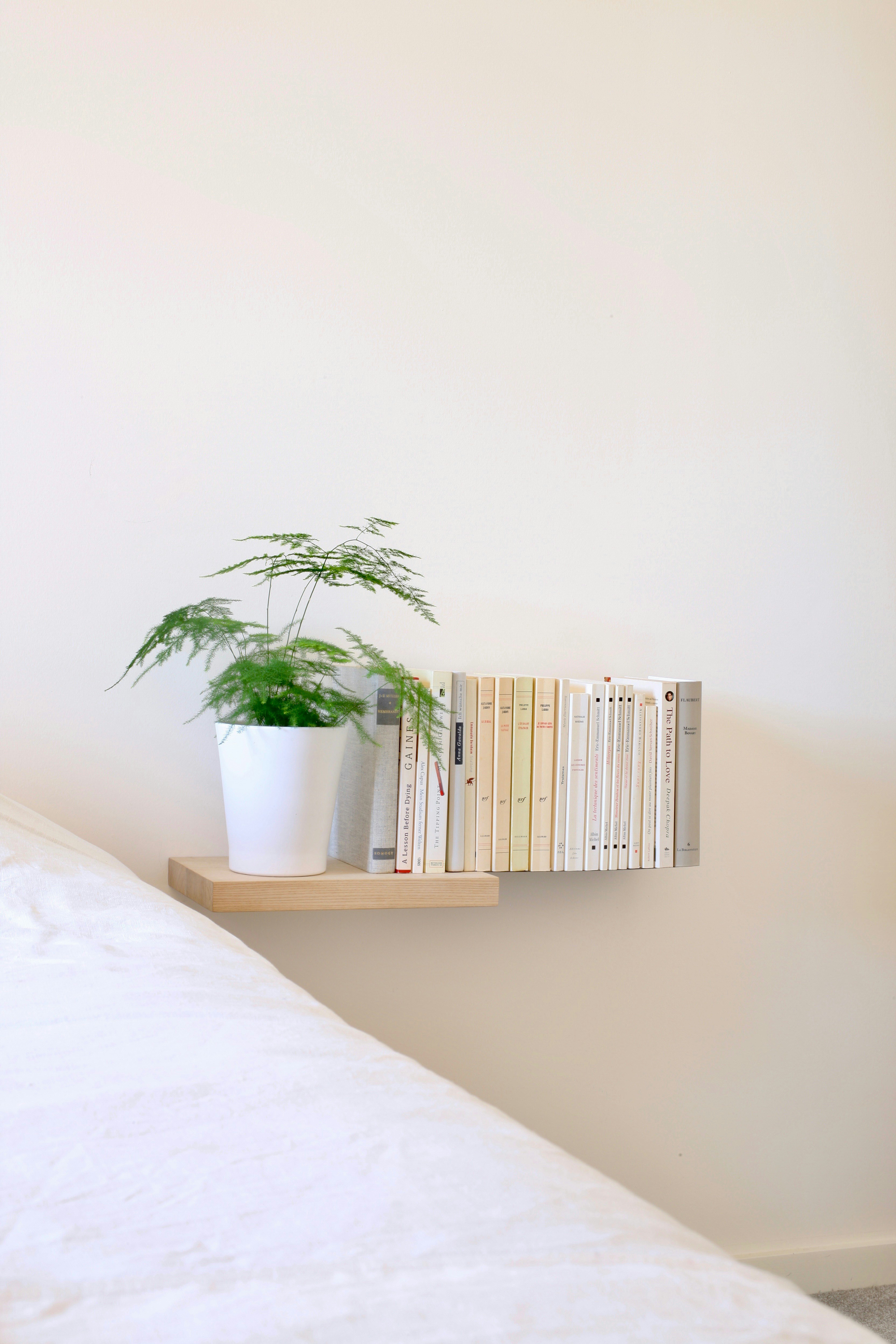 A minimalist shelf displays a potted fern beside neatly arranged books, creating a tranquil reading nook in a softly lit room.