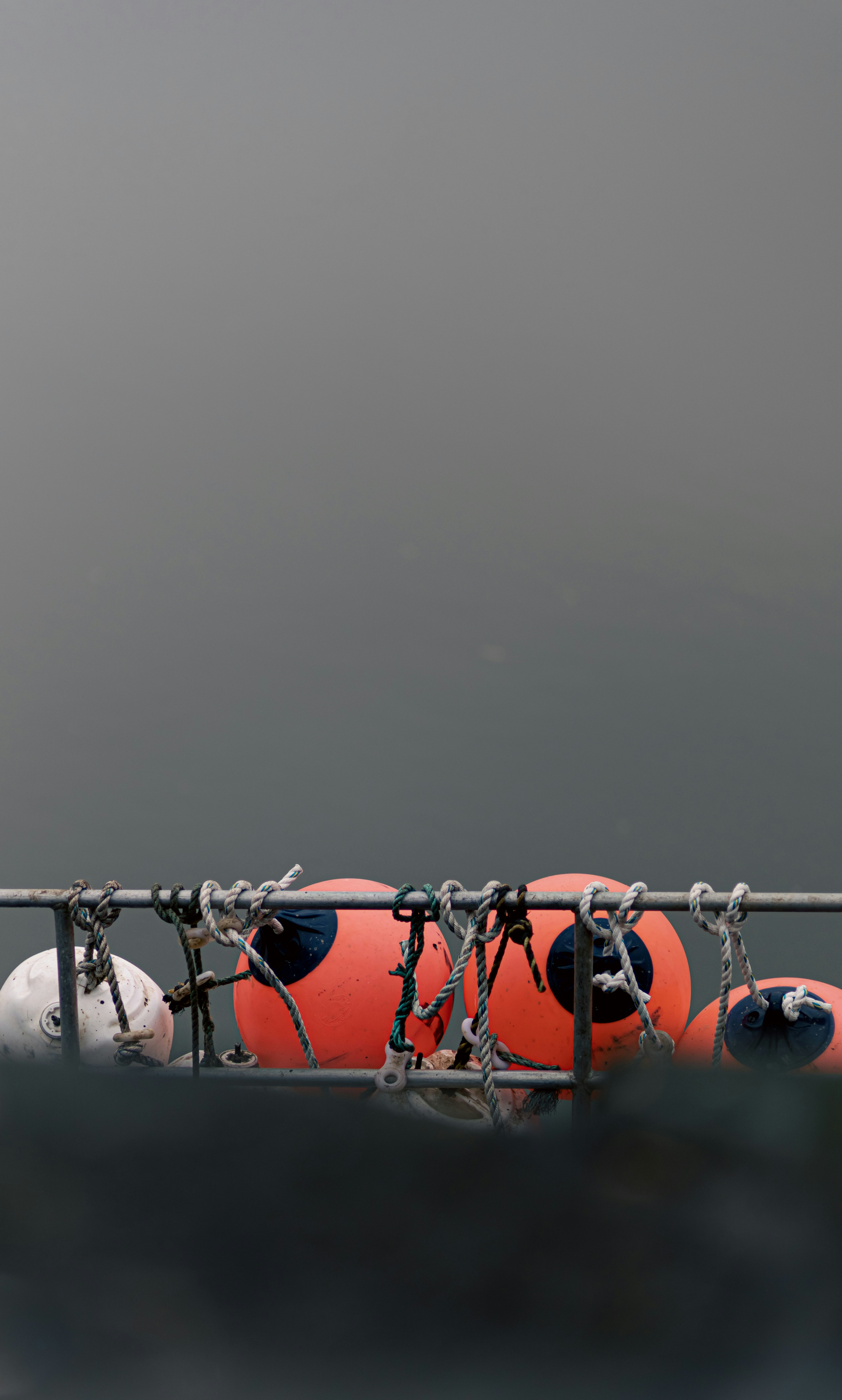 Orange Buoys Along a Weathered Rail Against a Foggy Seascape