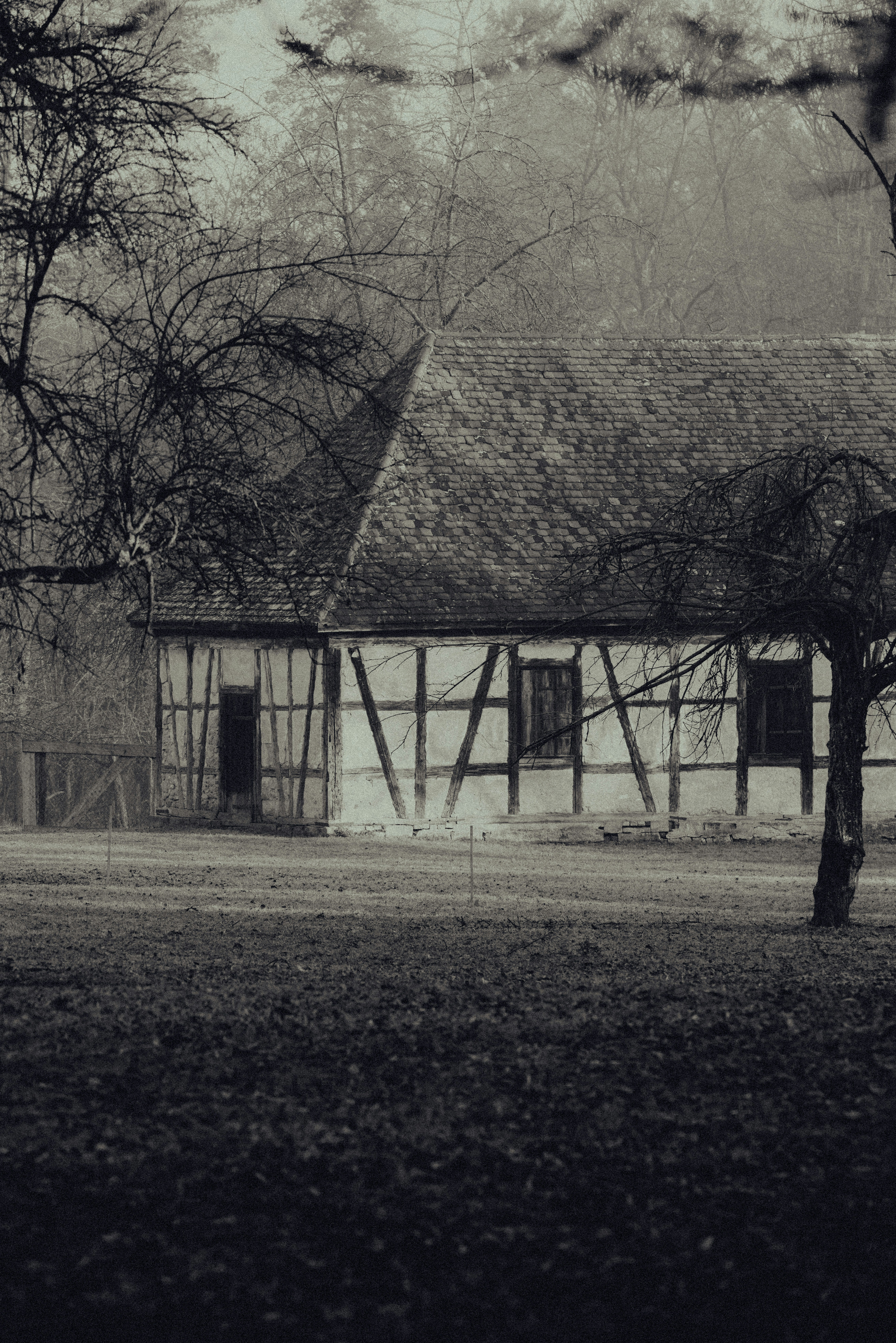 Whispers of Time: A Rustic Homestead in Mist