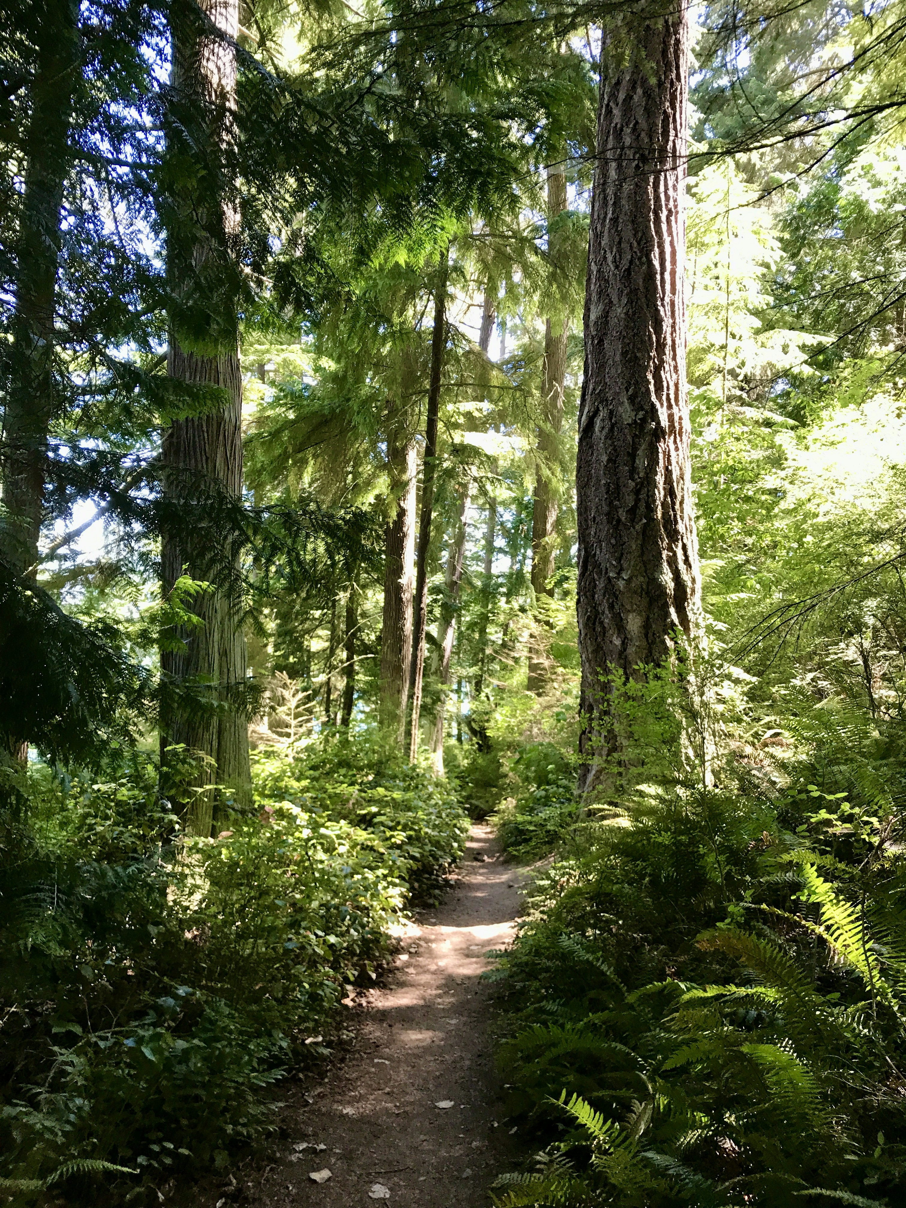 Bryan DeHart (@mackncheeze) | Unsplash Photo Community