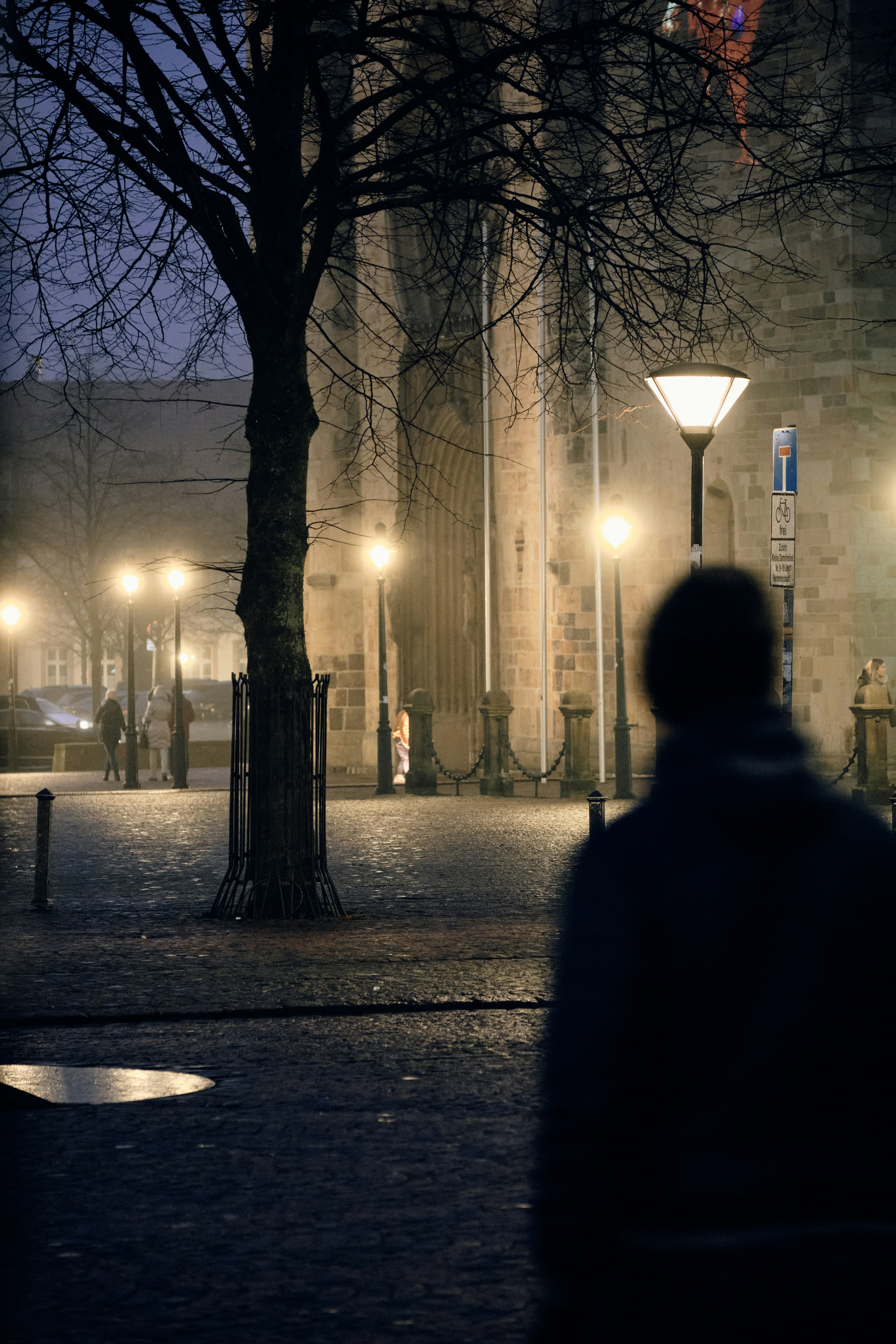 A lone figure stands in the foreground, illuminated by street lamps amidst a misty urban landscape, evoking a sense of solitude and intrigue.
