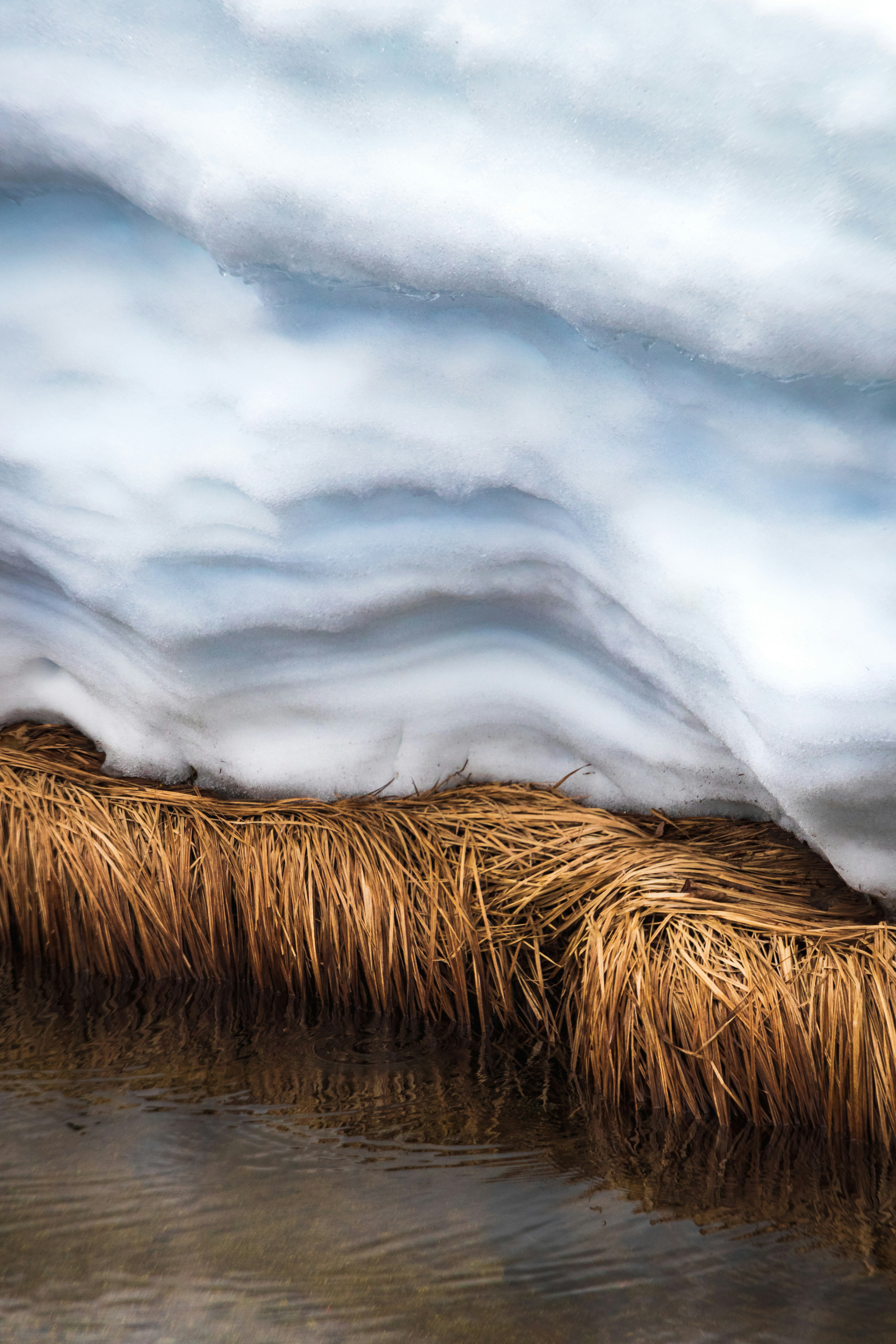 Snow-Curtained Thatch Fringes a Reflective Pool