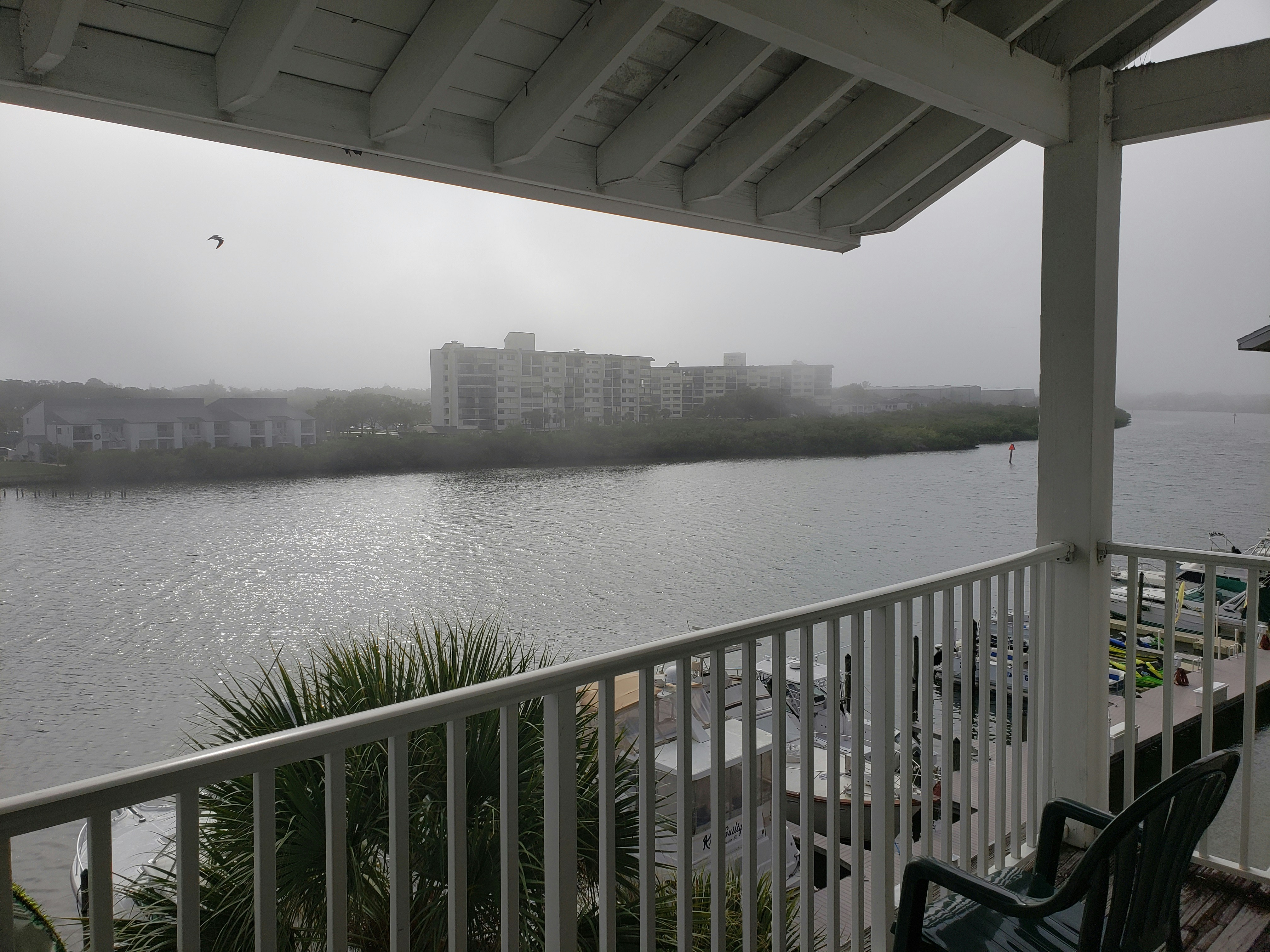 Photo by Kelvin Meeks with Samsung Galaxy S9 Plus