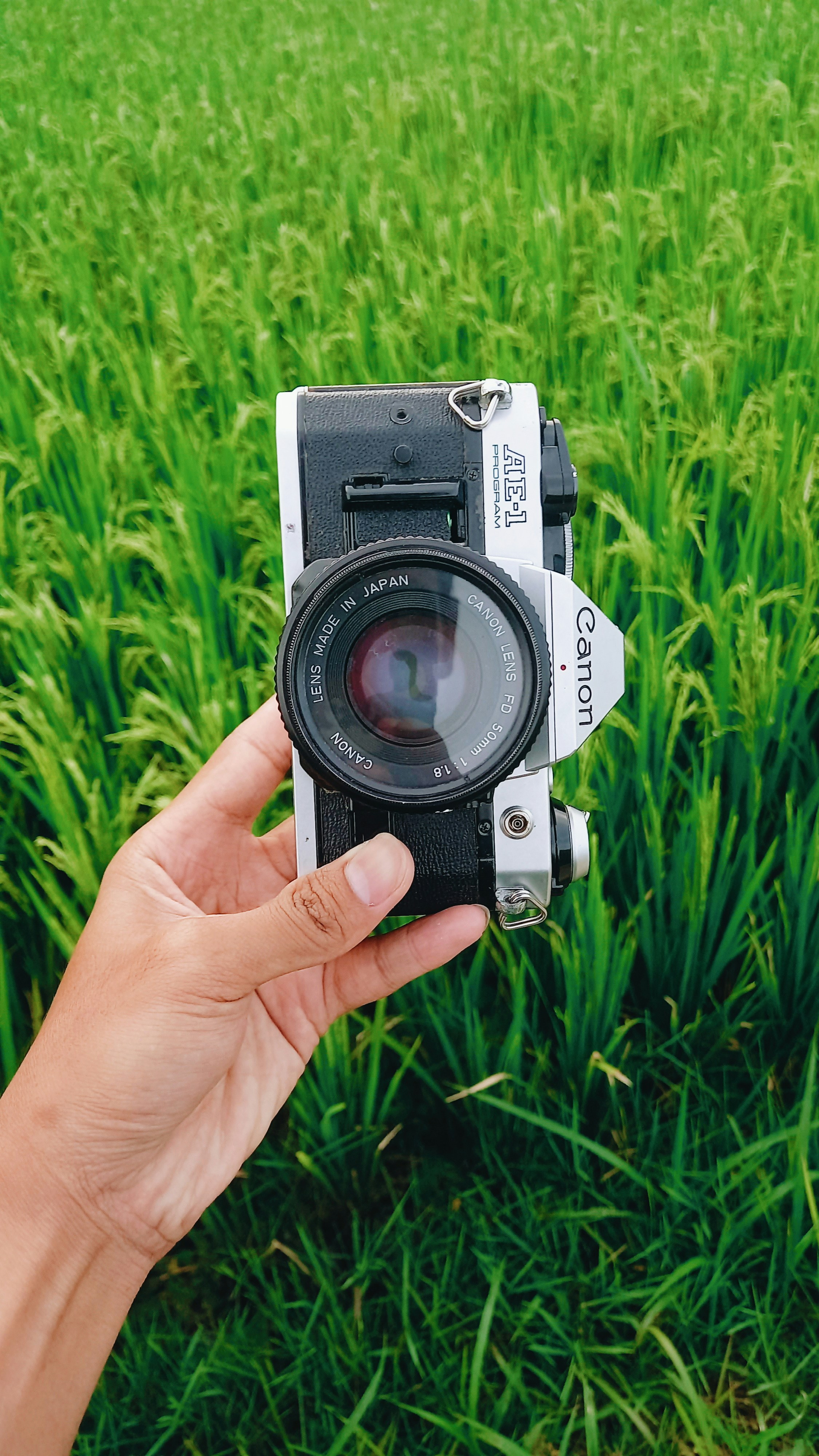 #analog #camera #ae1 #program 