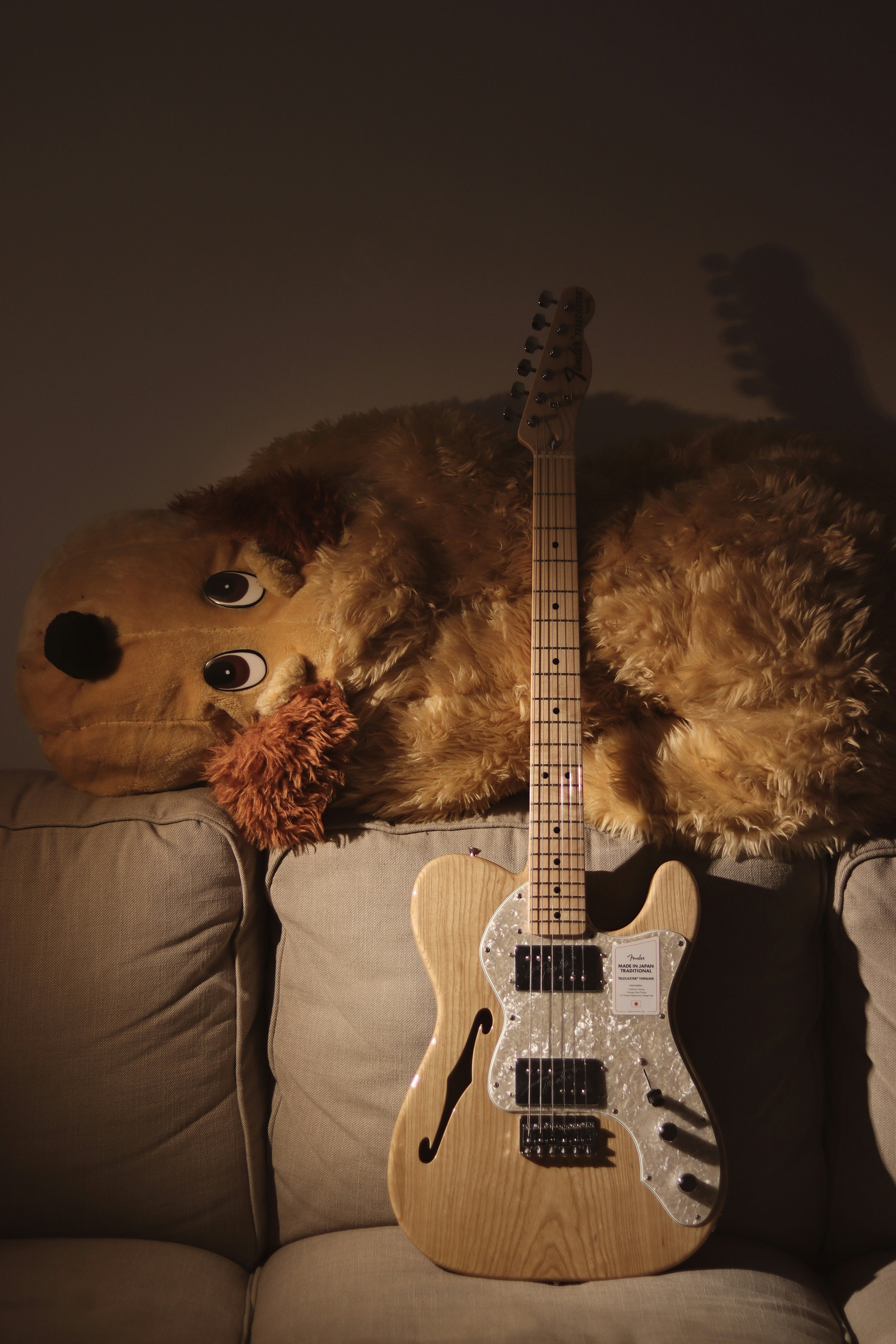 Fender Telecaster Thinline