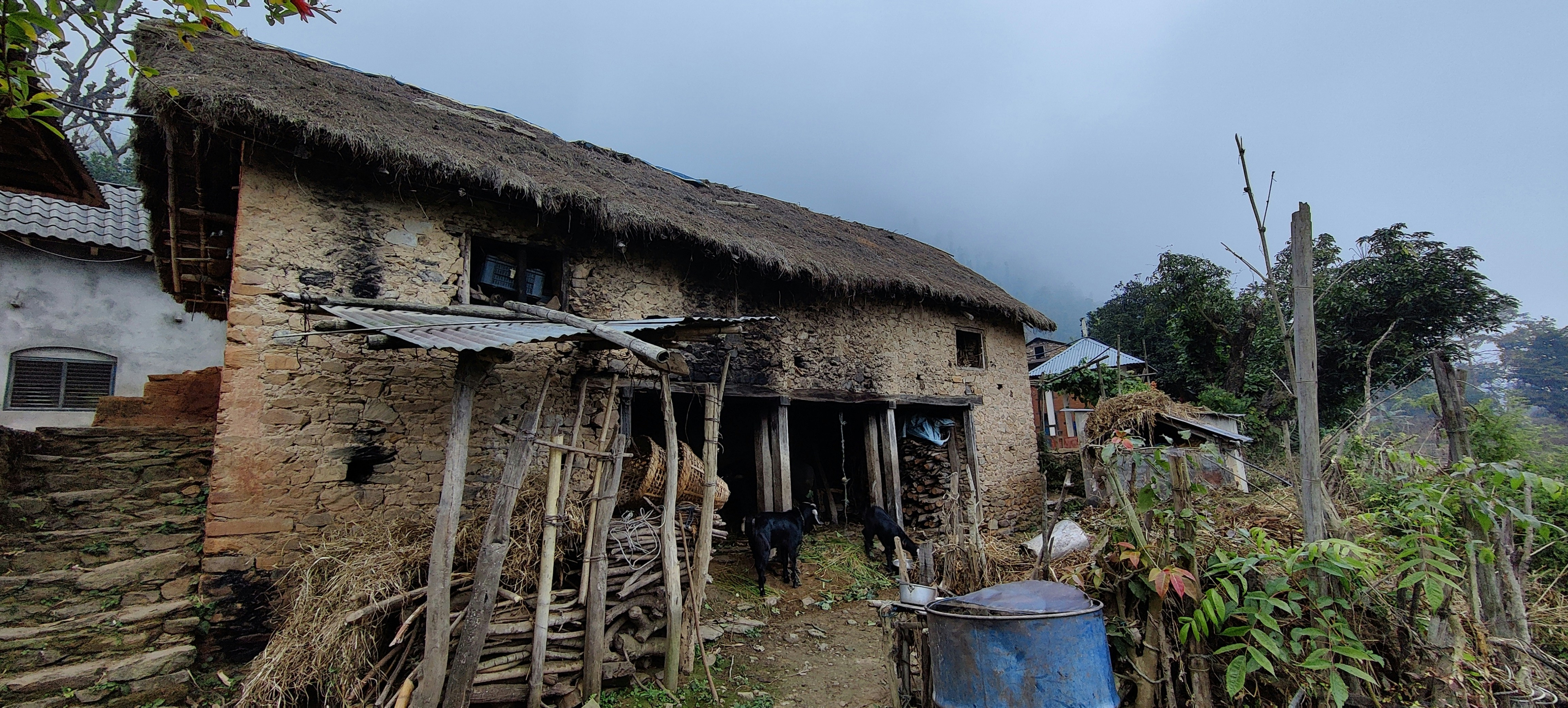 Traditional stone house with a thatched roof, surrounded by greenery and wooden structures in a rural setting.