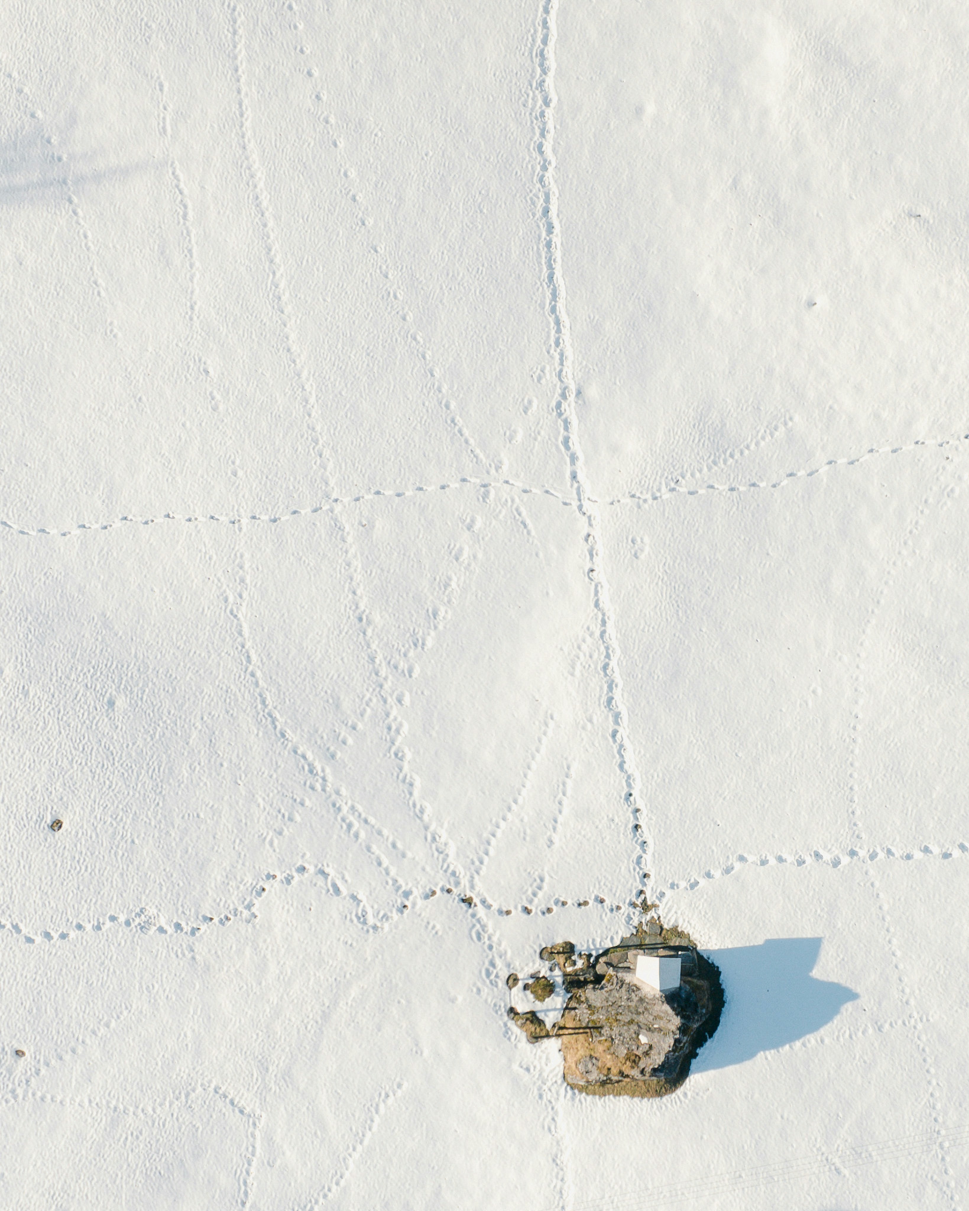 a close up of a snow covered slope