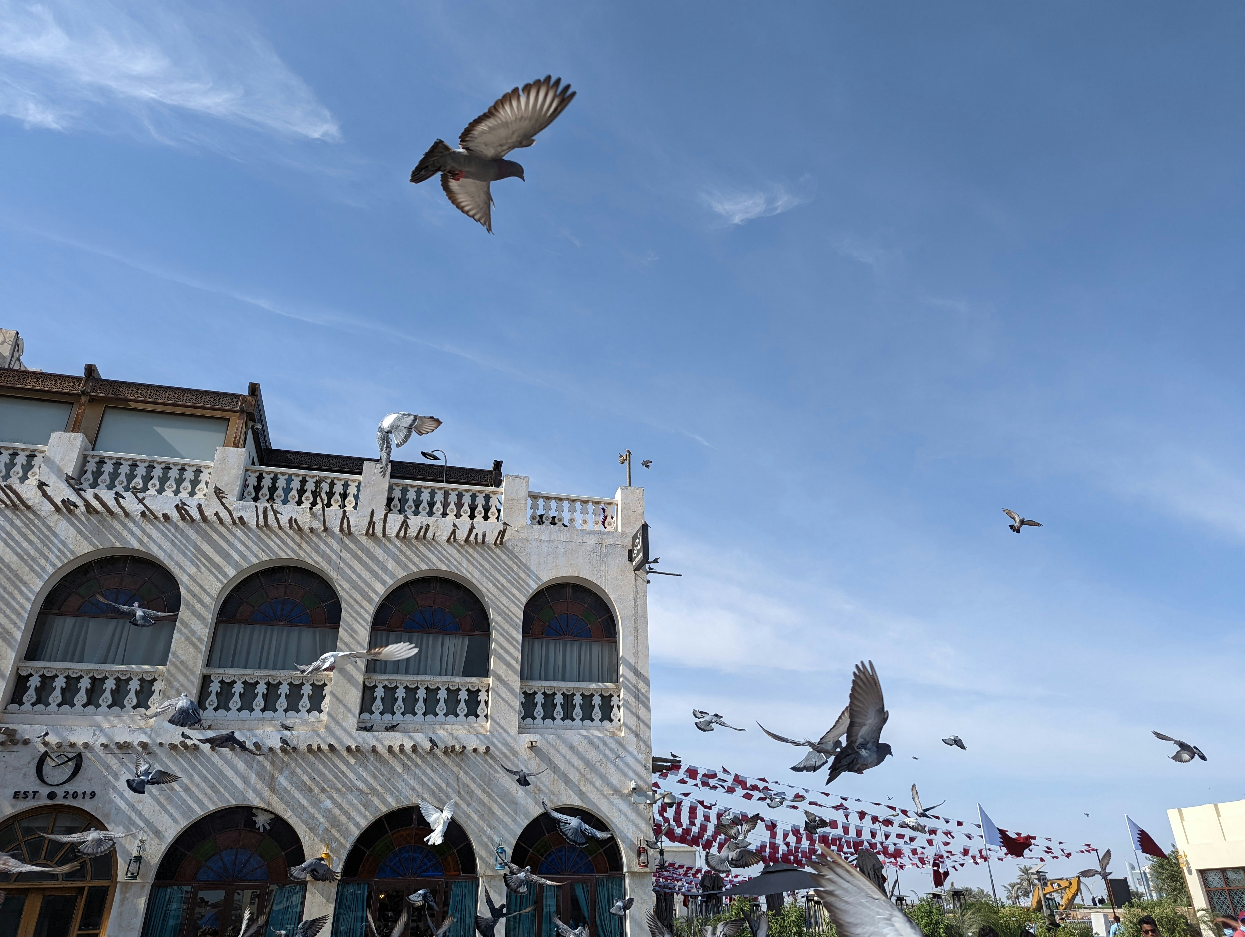 Pigeons soar gracefully above a historic building, showcasing a lively urban scene under a clear blue sky.